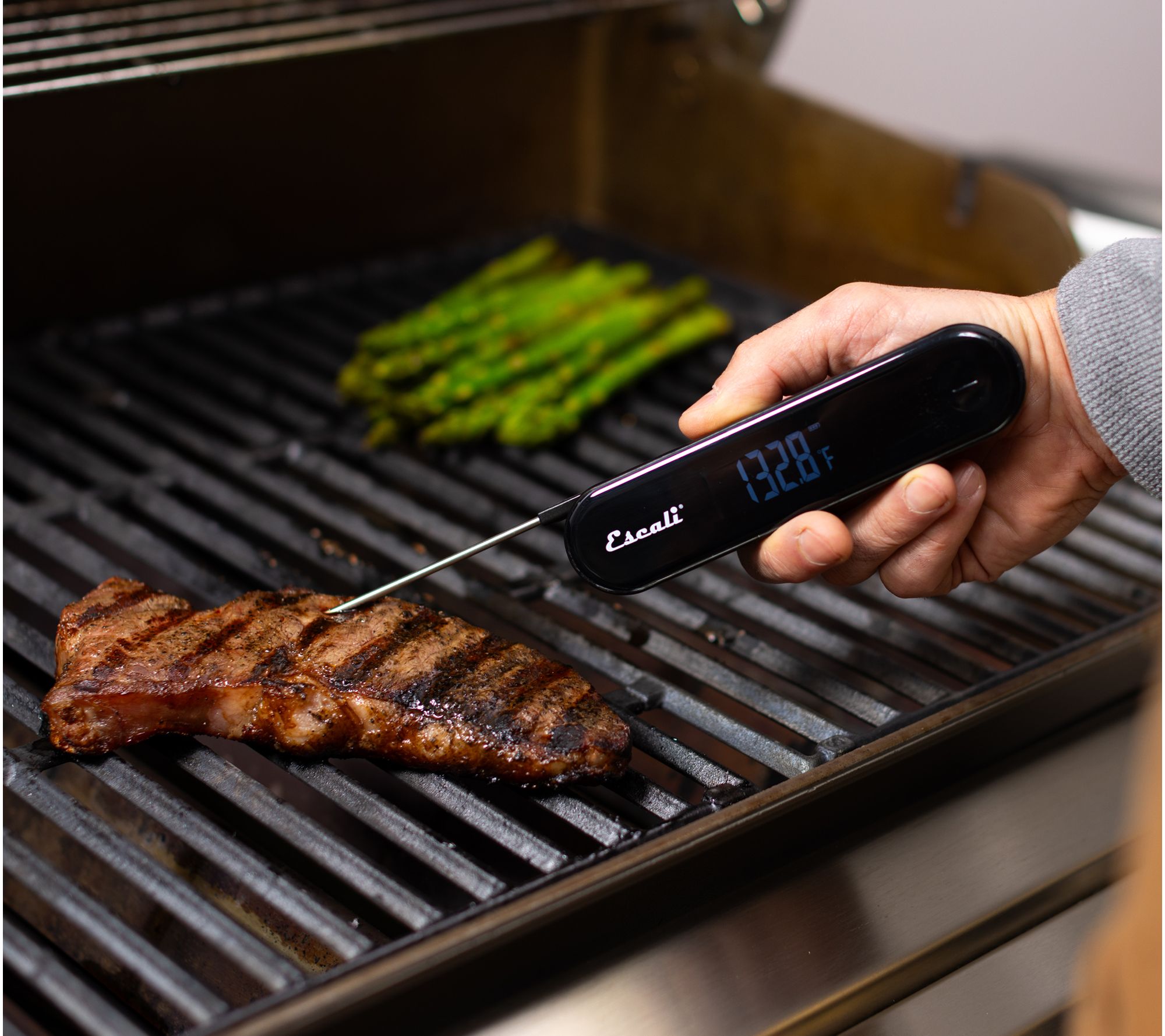 Escali Stelo Waterproof Folding Thermometer - QVC.com