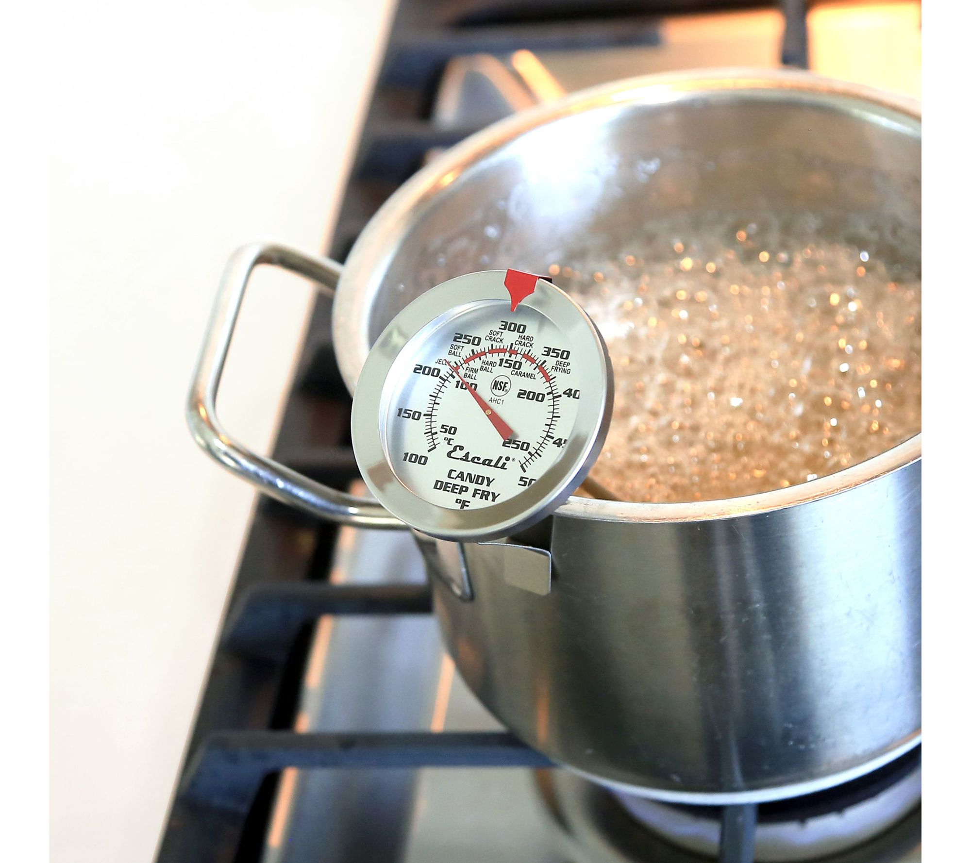 Escalie Culinary Thermometer Bundle - QVC.com