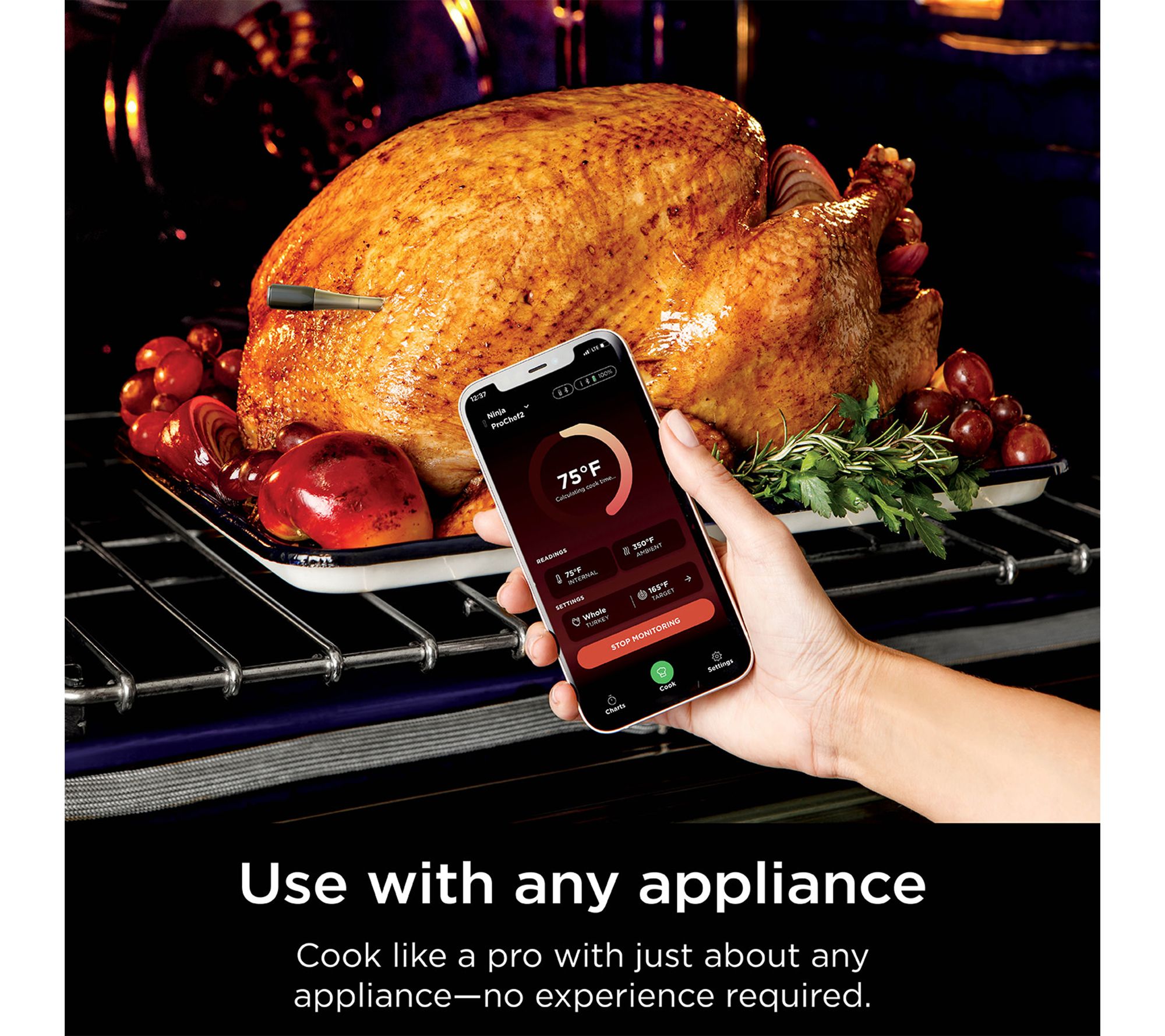 Ninja ProChef Wireless Thermometer - QVC.com