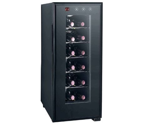 SPT Thermo-Electric Wine Cooler with Heating -12 Bottles - QVC.com
