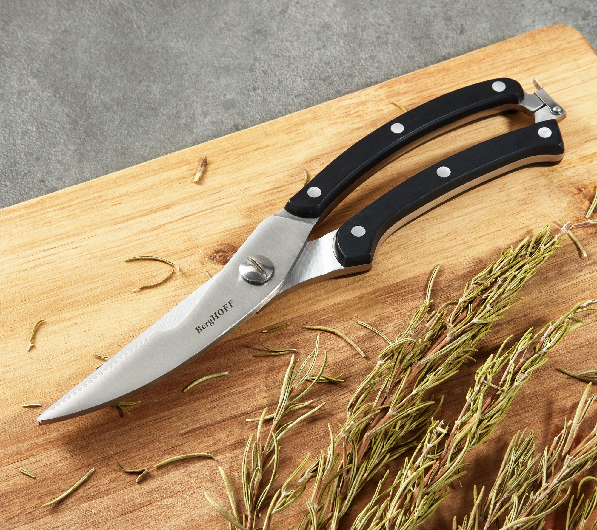 BergHOFF DiNA Gene Stainless Steel Poultry Shears, 10" - QVC.com