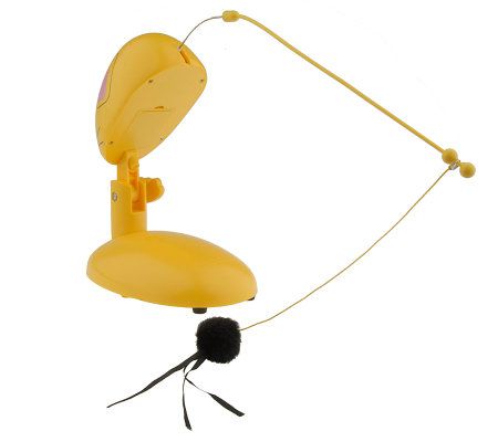 Panic Mouse Interactive Cat Toy with Variable Speed - QVC.com
