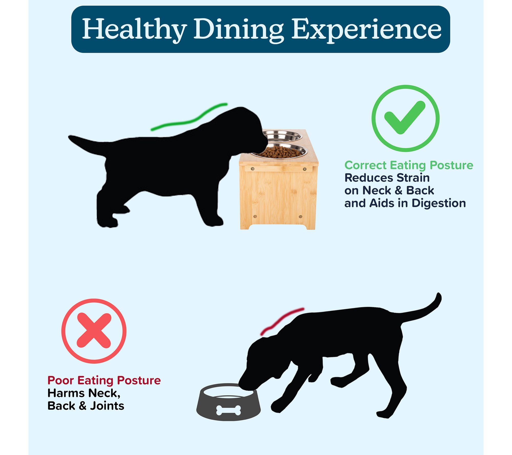 Petmaker 10" Raised Dog Bowl Stand & RemovablePet Bowls - QVC.com