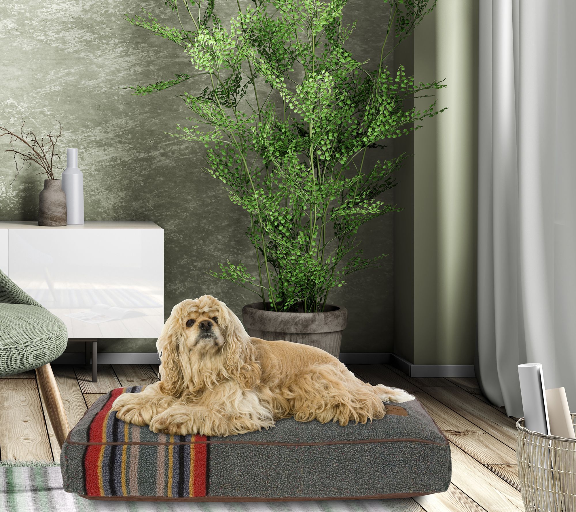 Pendleton Medium Vintage Camp Pet Napper - QVC.com