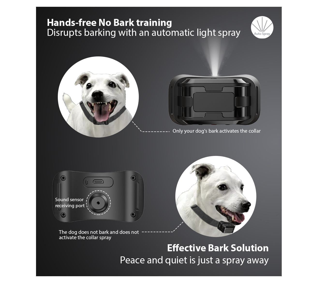 Pet Life Bark-Myst Spray Collar - QVC.com