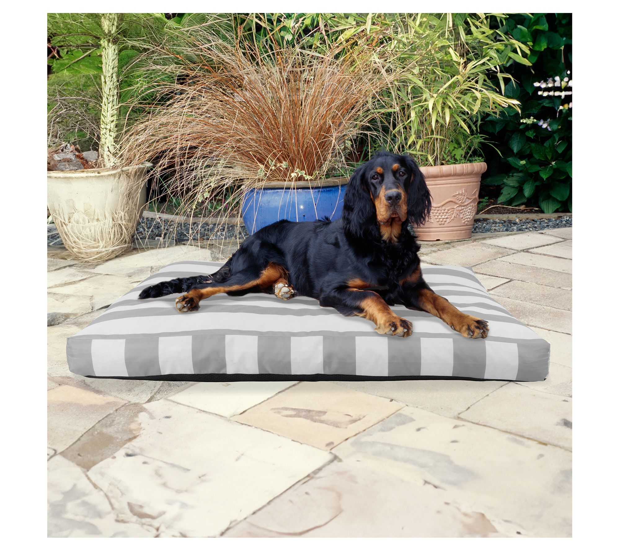 Petmaker Large Dog Bed with Water-Resistant Removable Cover - QVC.com