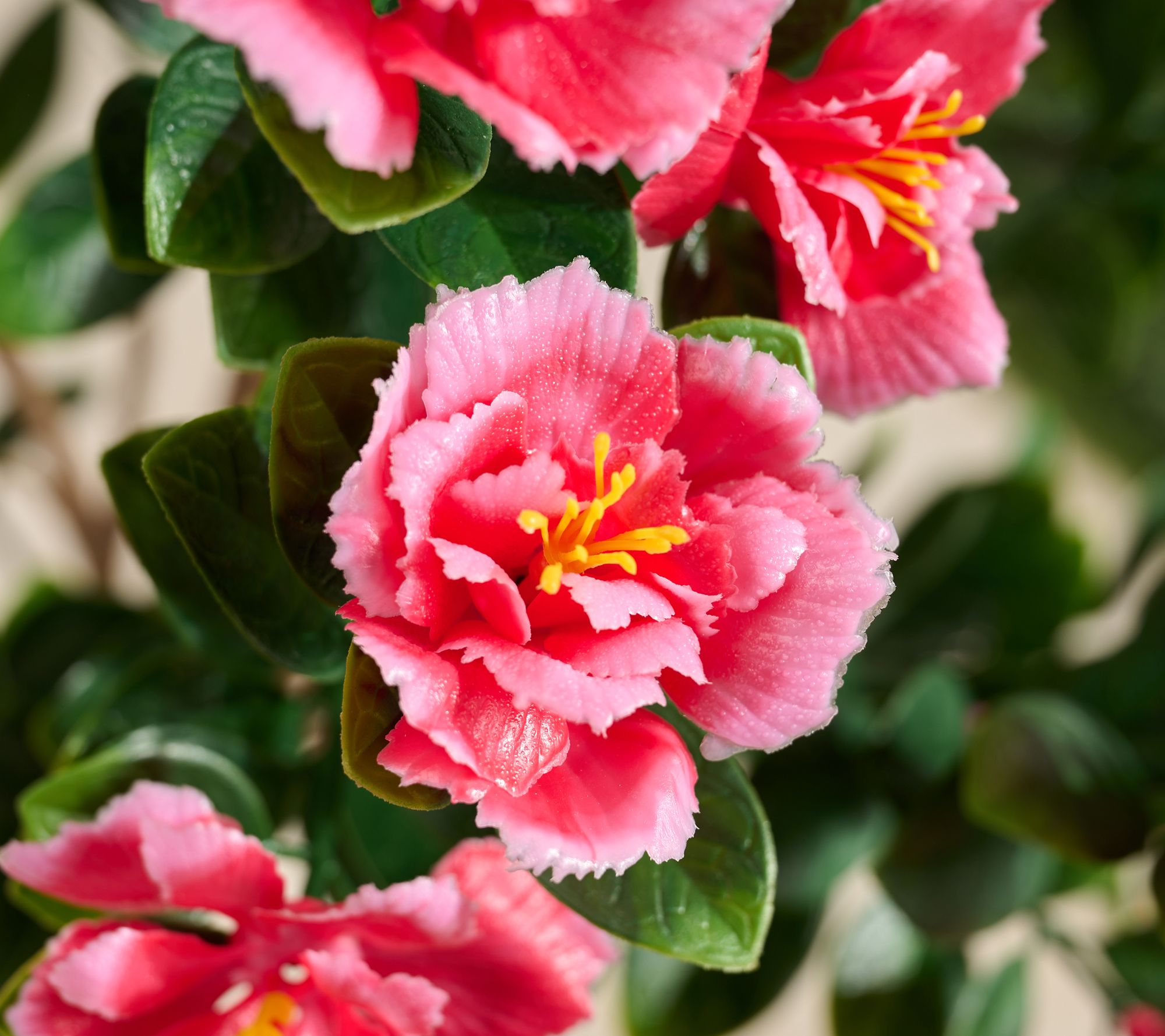 Wicker Park 3' Faux Azalea Tree - QVC.com