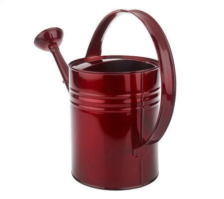 Set of 2 Galvanized Watering Cans - QVC.com