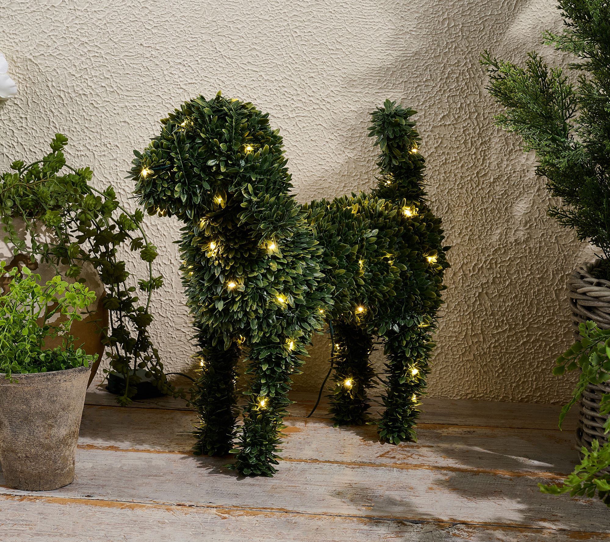 "As Is" Marigold 17" Dog Topiary w/ Battery LED Lights - QVC.com
