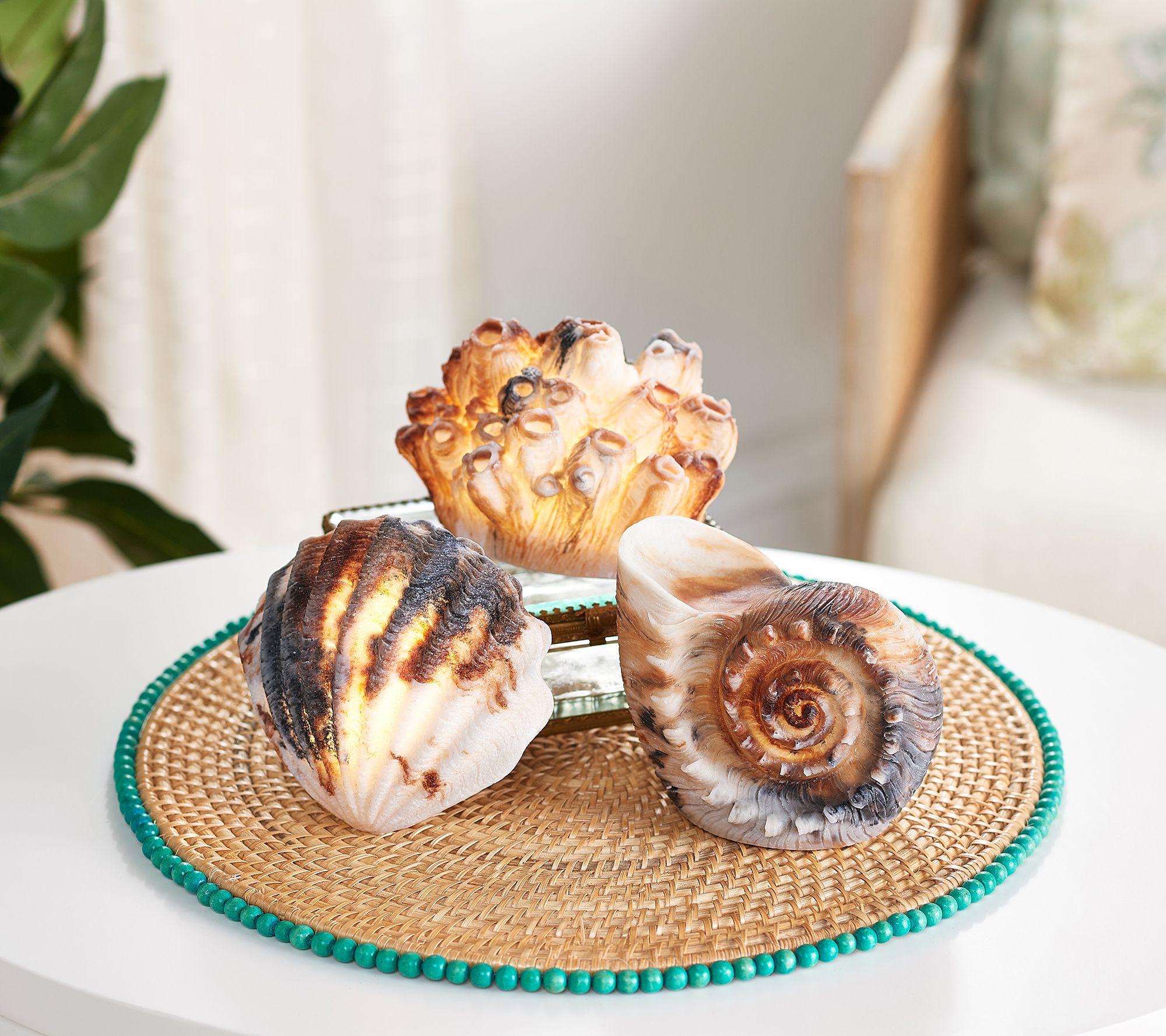 Barbara King Set of 3 Mini Sandstone Seashells Collection - QVC.com