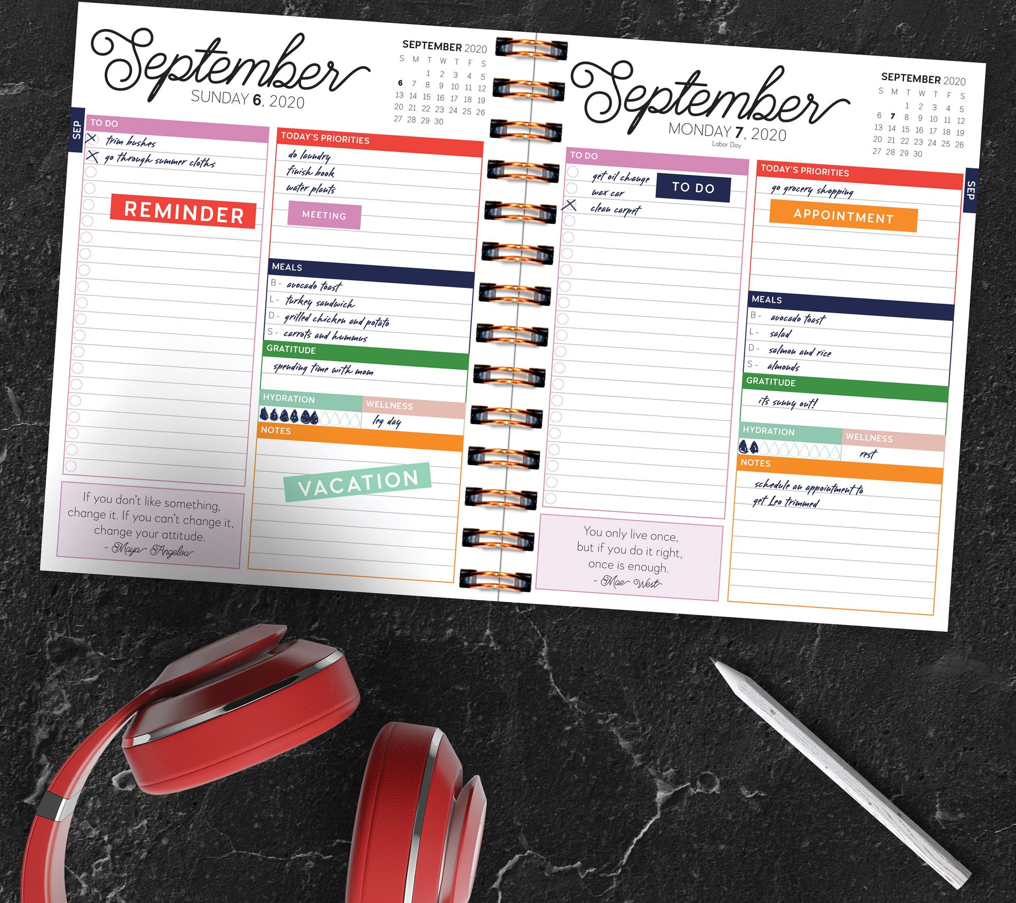 July 2020 - June 2021 Polka Preppy Dot Daily Luxe Planner - QVC.com