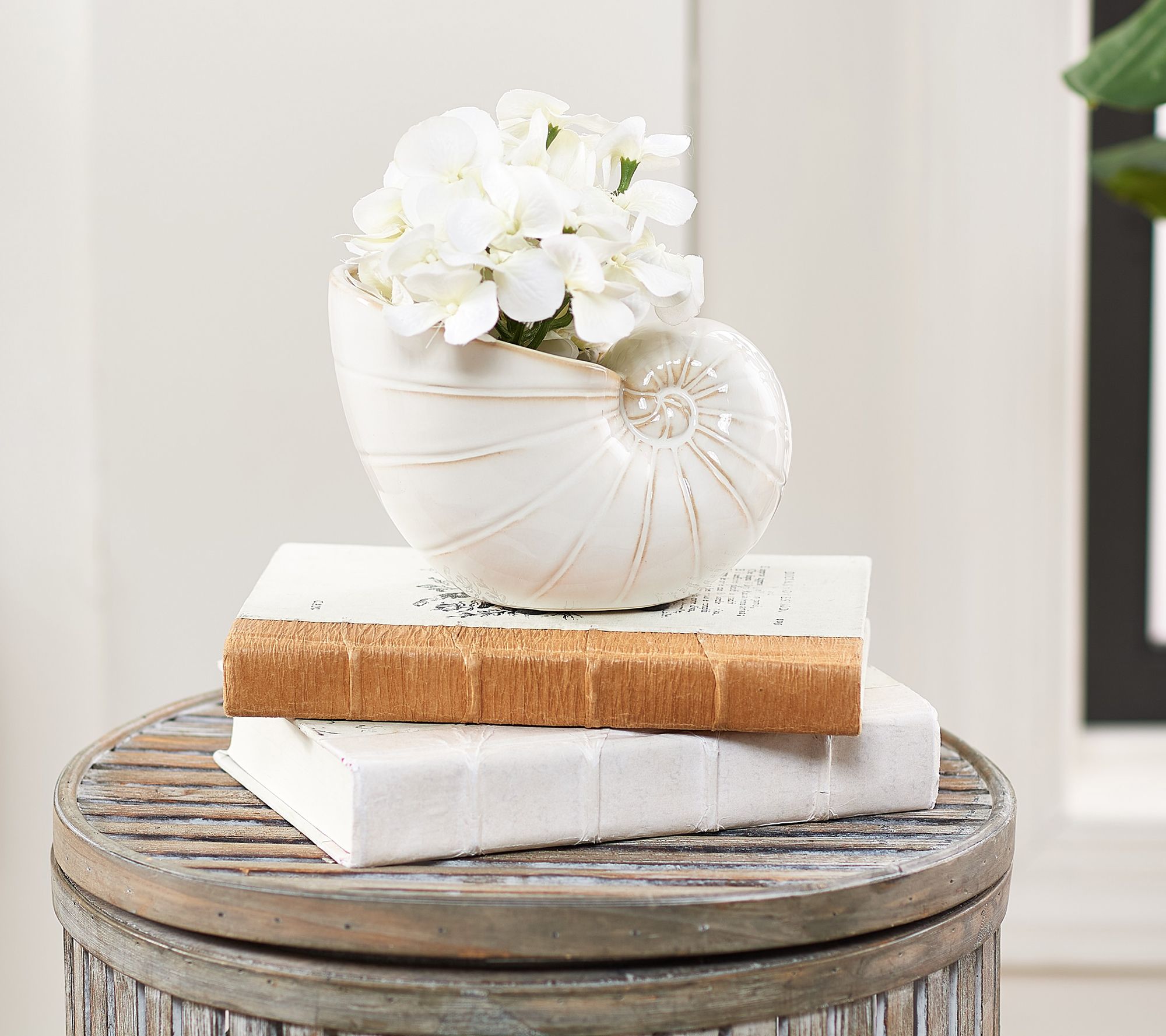 "As Is" Barbara King 7" Glazed Ceramic Seashell Planter - QVC.com