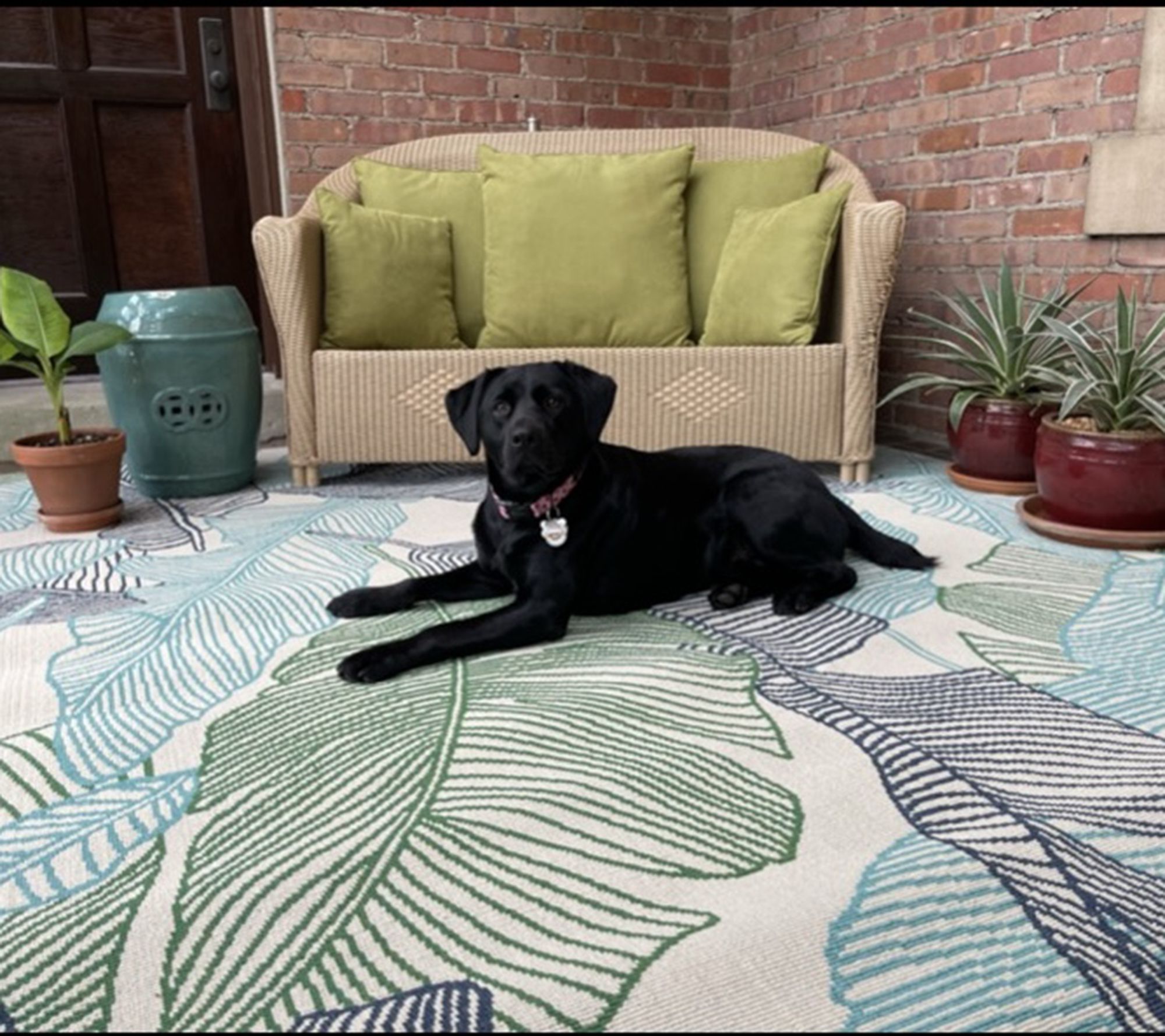 Ultimate Innovations Tropical Palms 26" x 45" Rug - QVC.com