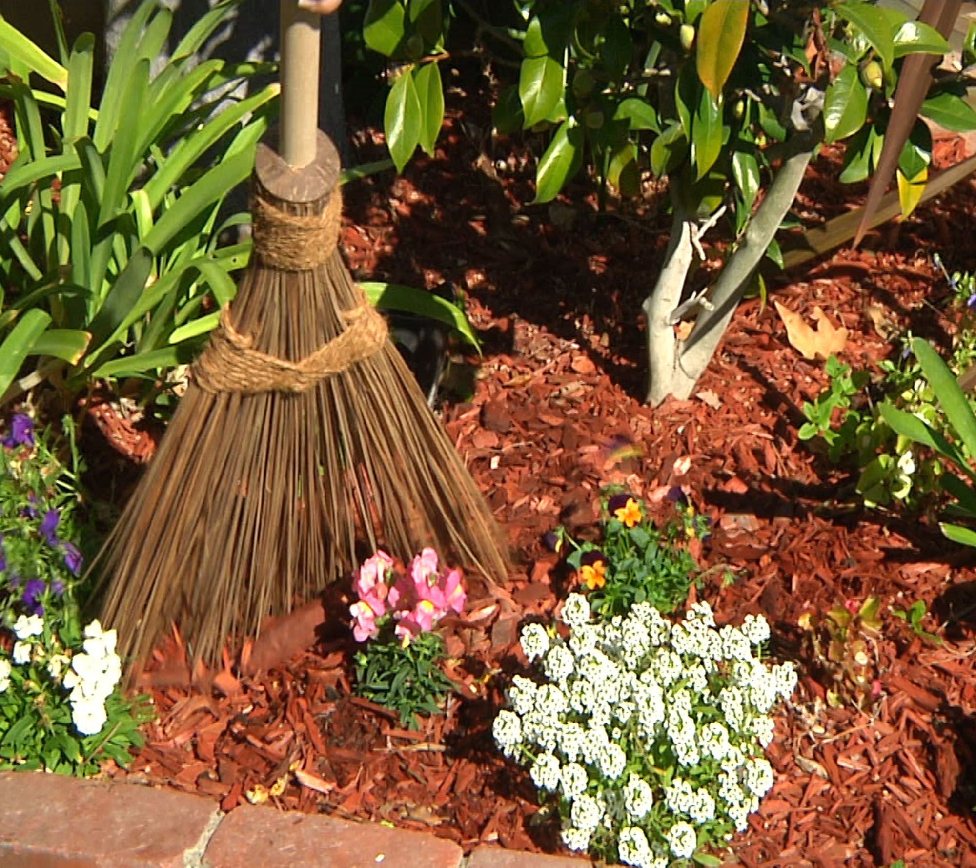"As Is" Ultimate Innovations Coconut Broom & Whisk Set - QVC.com