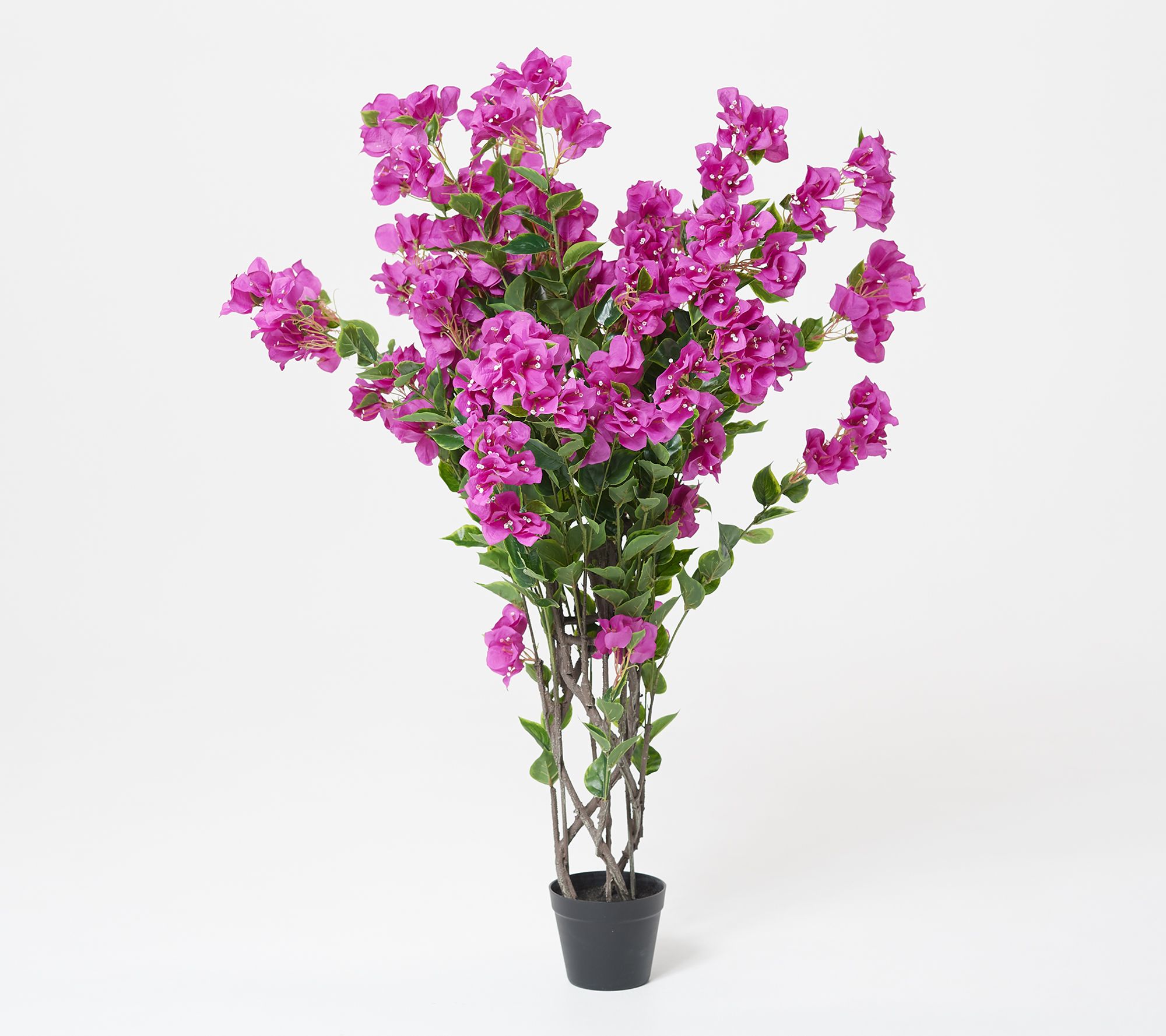 "As Is" Wicker Park 4' Tall Indoor/Outdoor Faux Azalea Tree - QVC.com