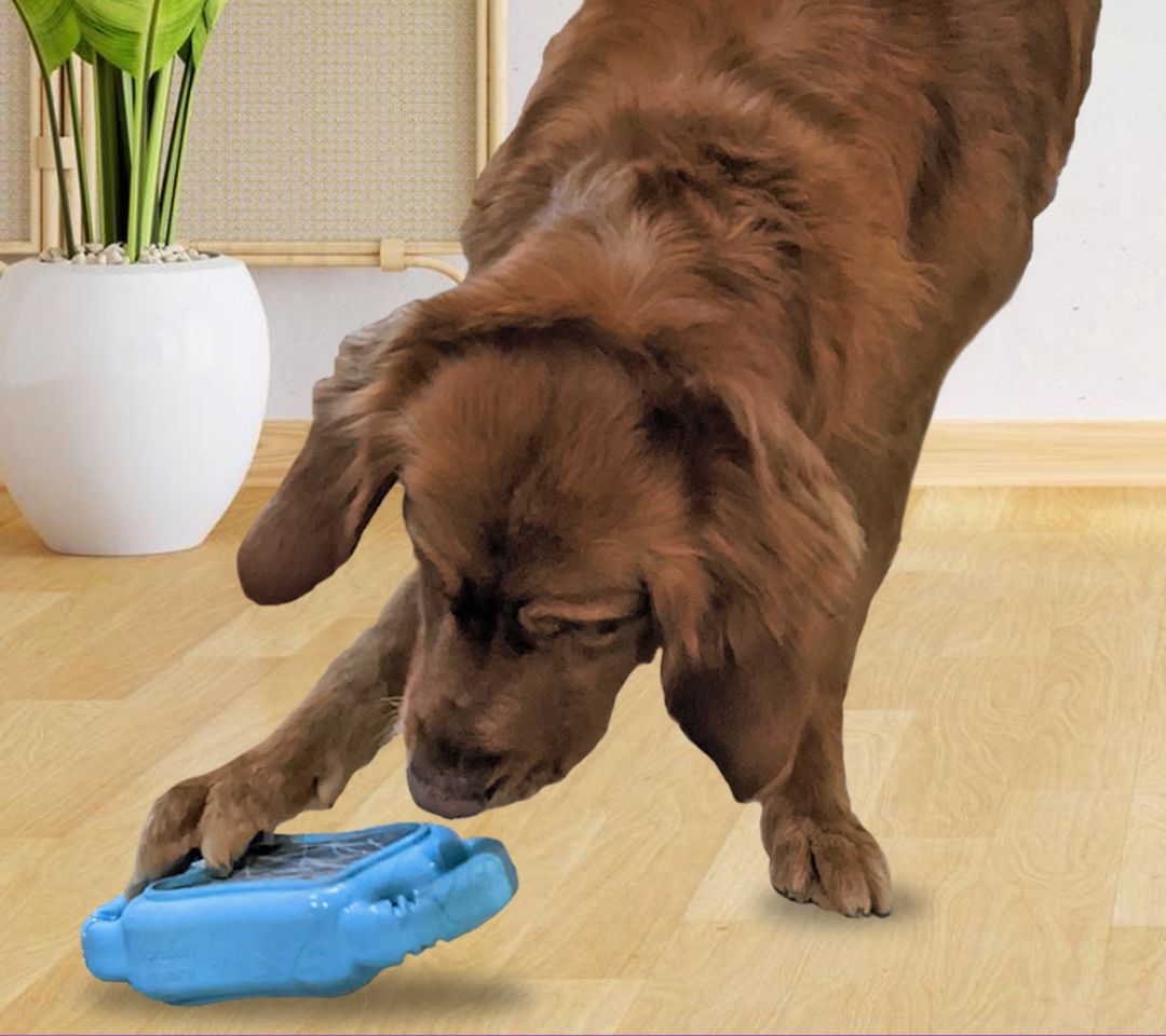Scratch Square Pet Grooming & Enrichment Toy by De'Vora - QVC.com