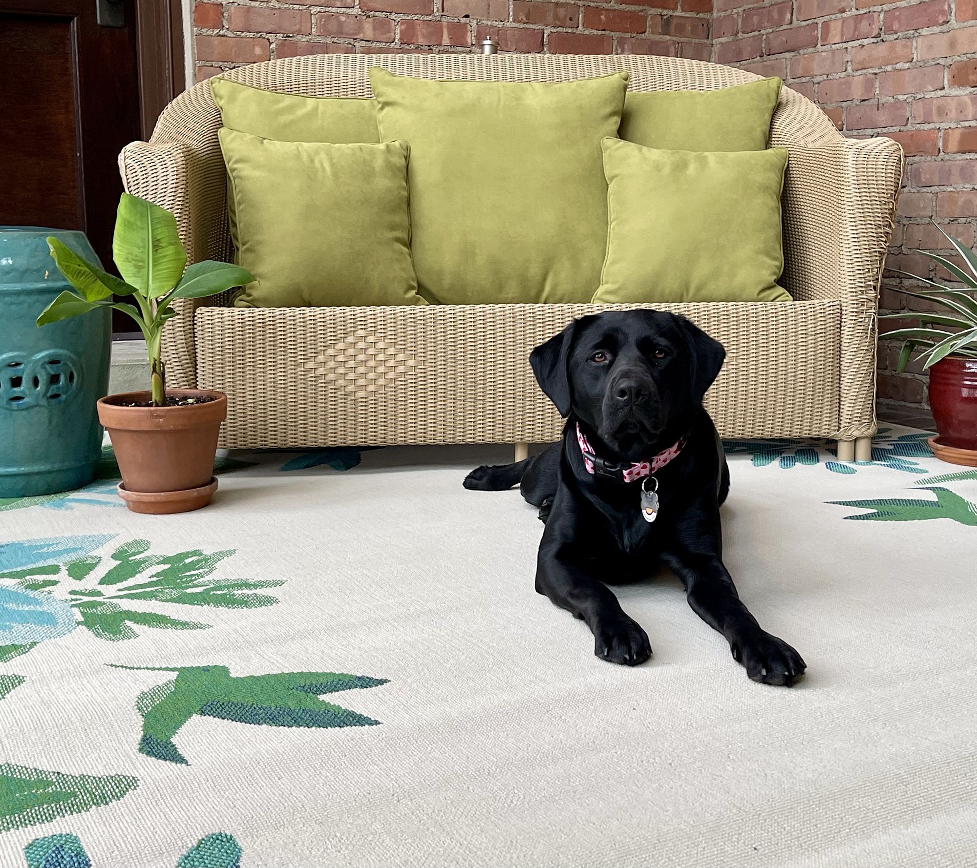 Ultimate Innovations Hummingbird Garden Border Rug - QVC.com