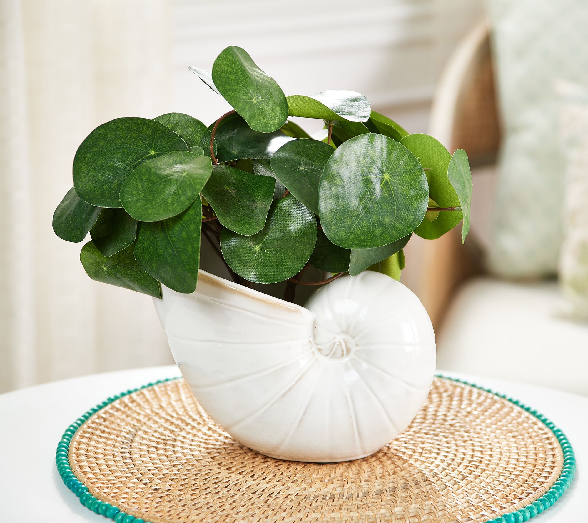 "As Is" Barbara King 8.5" Glazed Ceramic Seashell Planter - QVC.com