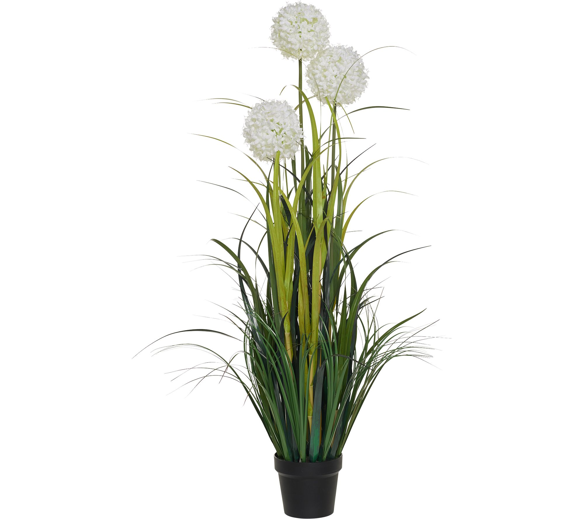 Indoor/Outdoor 50" Artificial Allium Arrangement with Pot - QVC.com