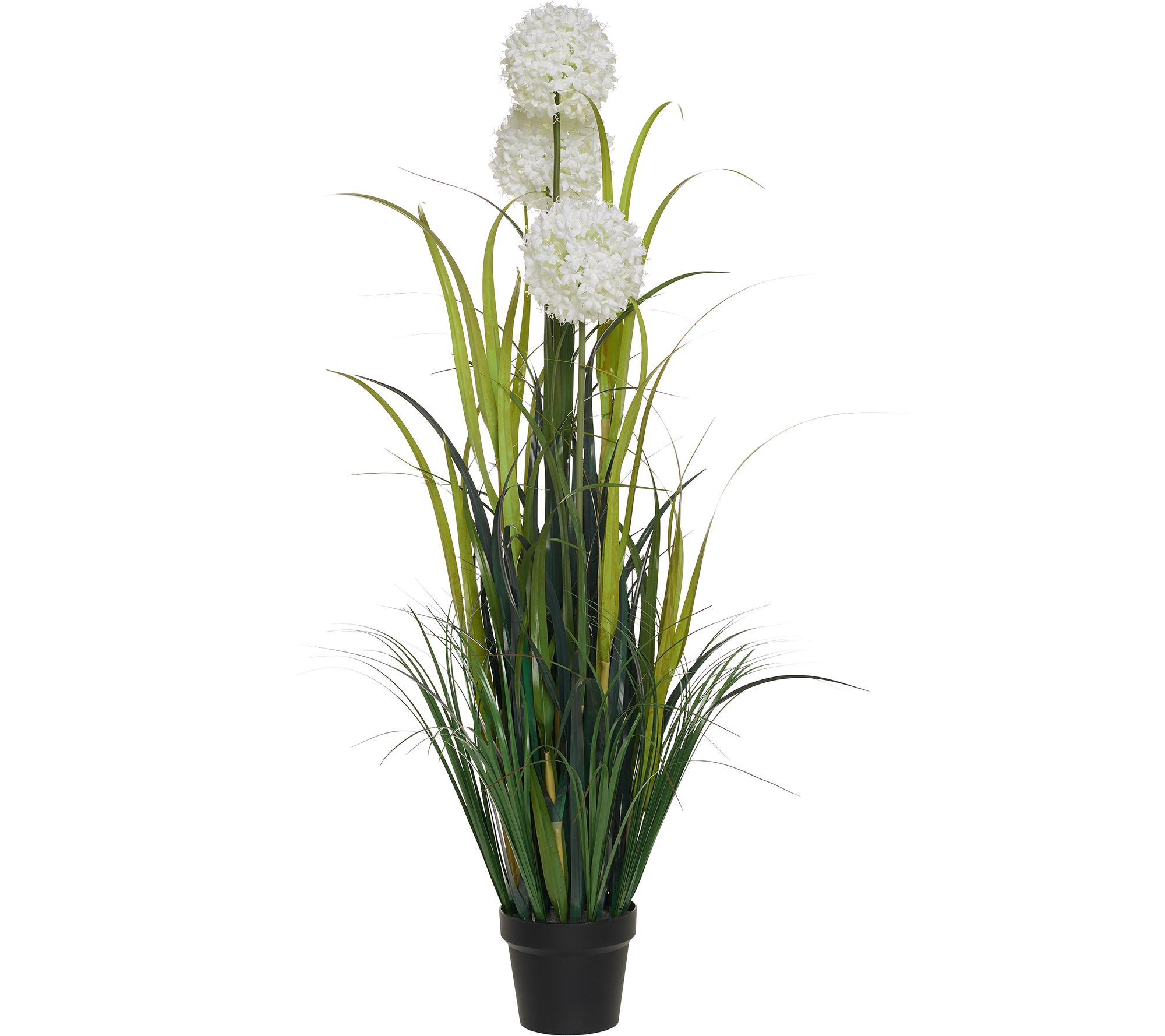 Indoor/Outdoor 50" Artificial Allium Arrangement with Pot - QVC.com