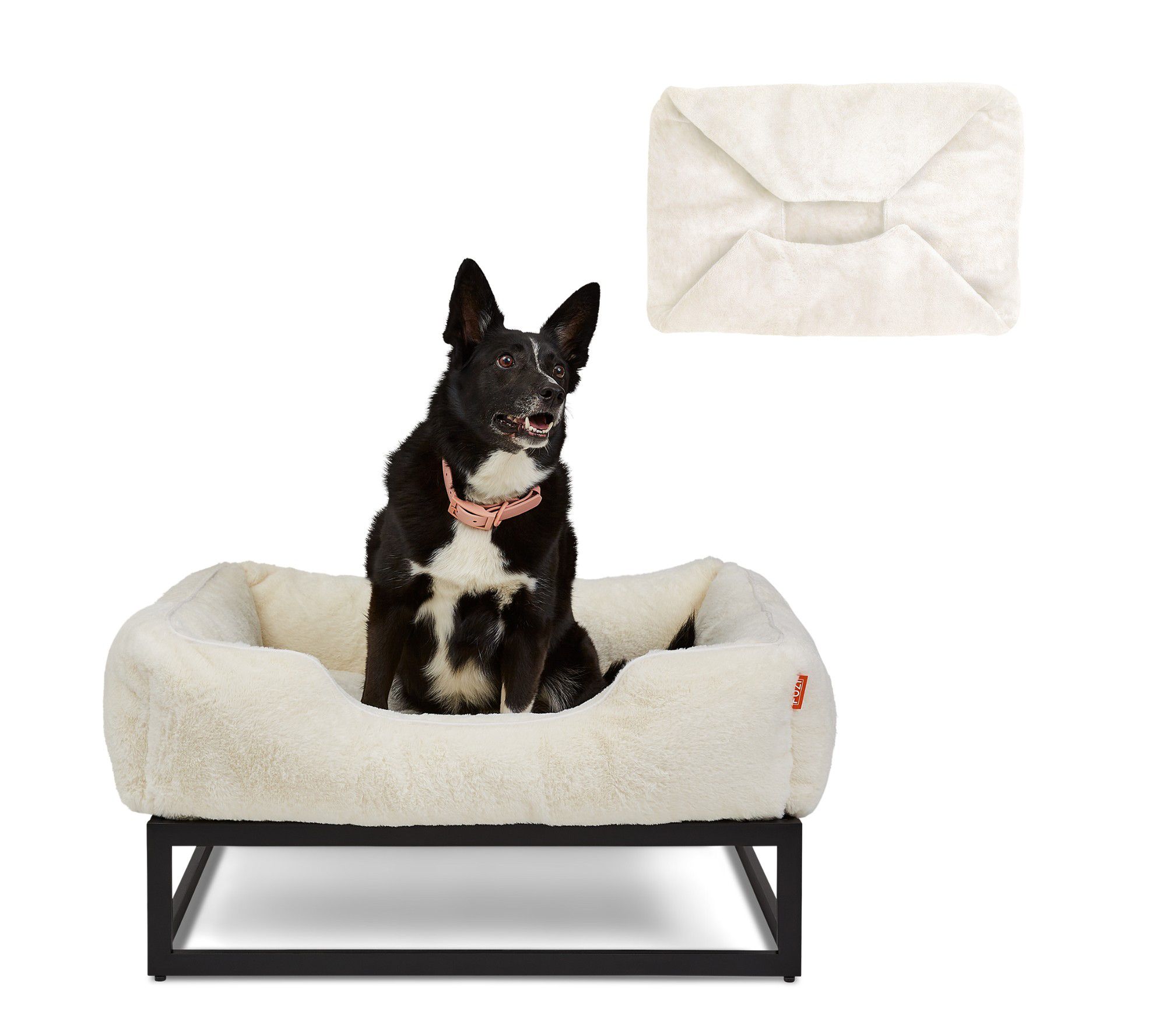 Fuzi Pets Elevated Plus Dog Bed with Extra Cover - Medium - QVC.com