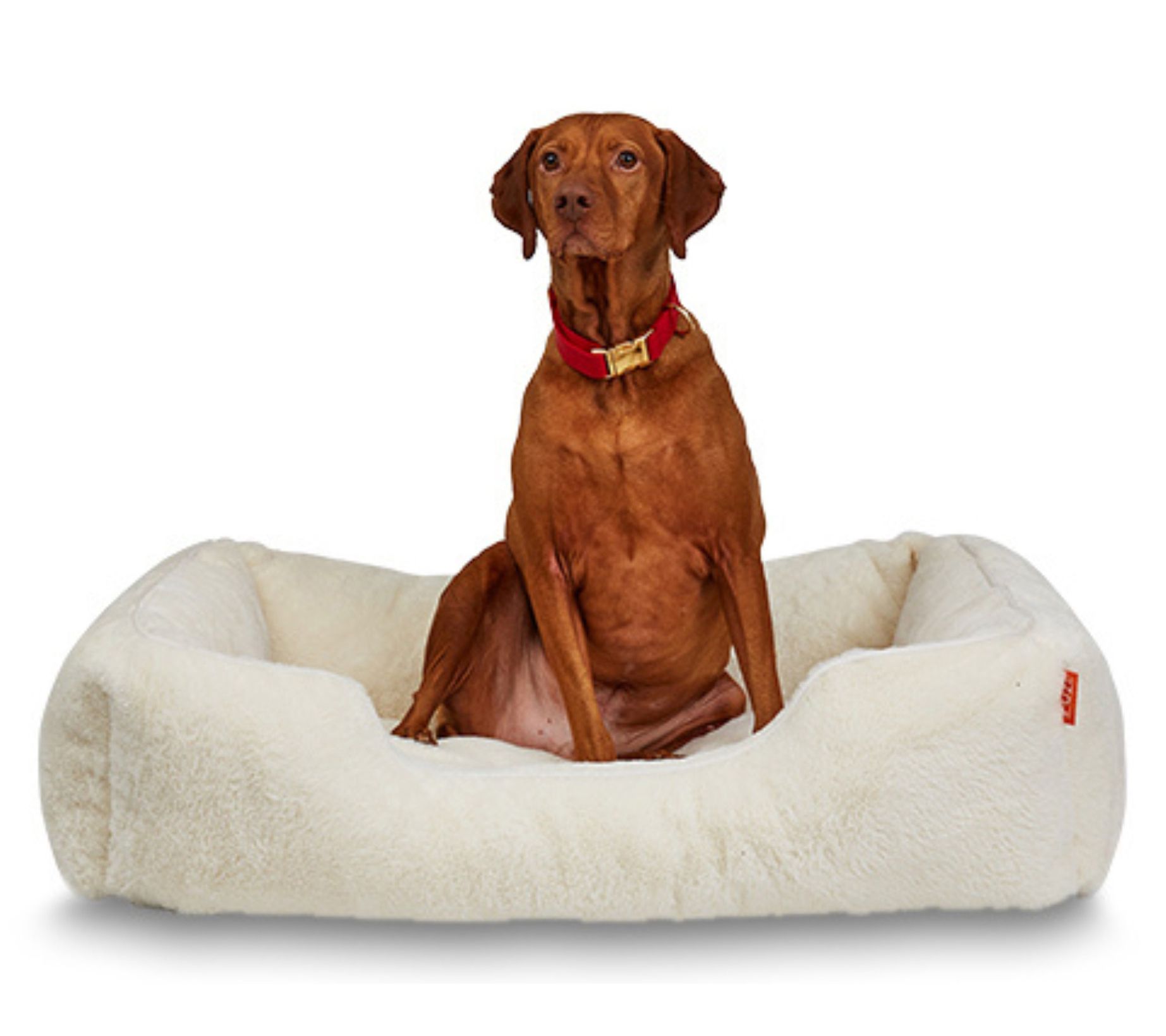 Fuzi Pets The Sammy Washable Plush Pet Bed w/ Extra Cover - Lg - QVC.com