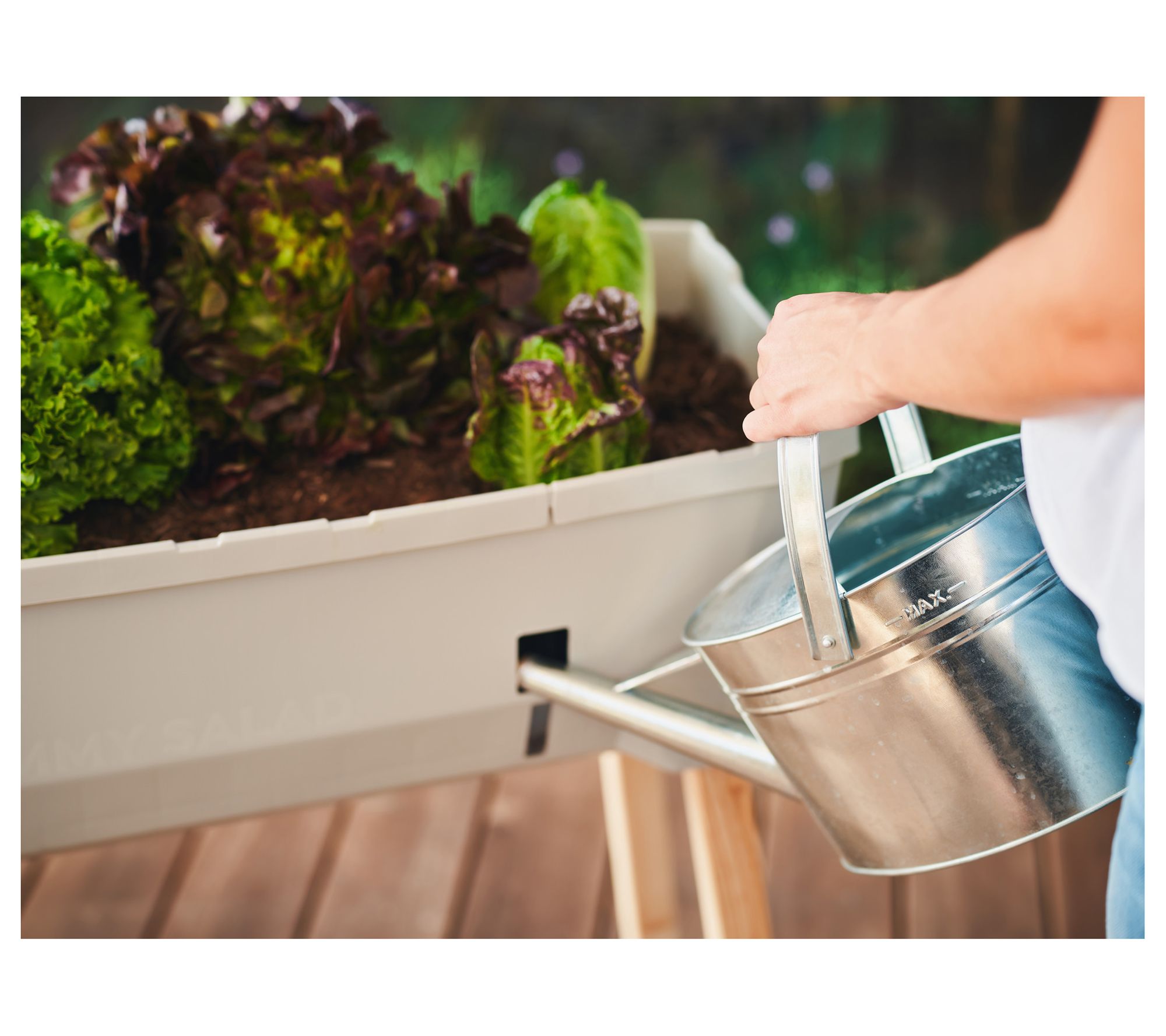 Gusta Garden Self-Watering Raised Garden Bed with Cover - QVC.com