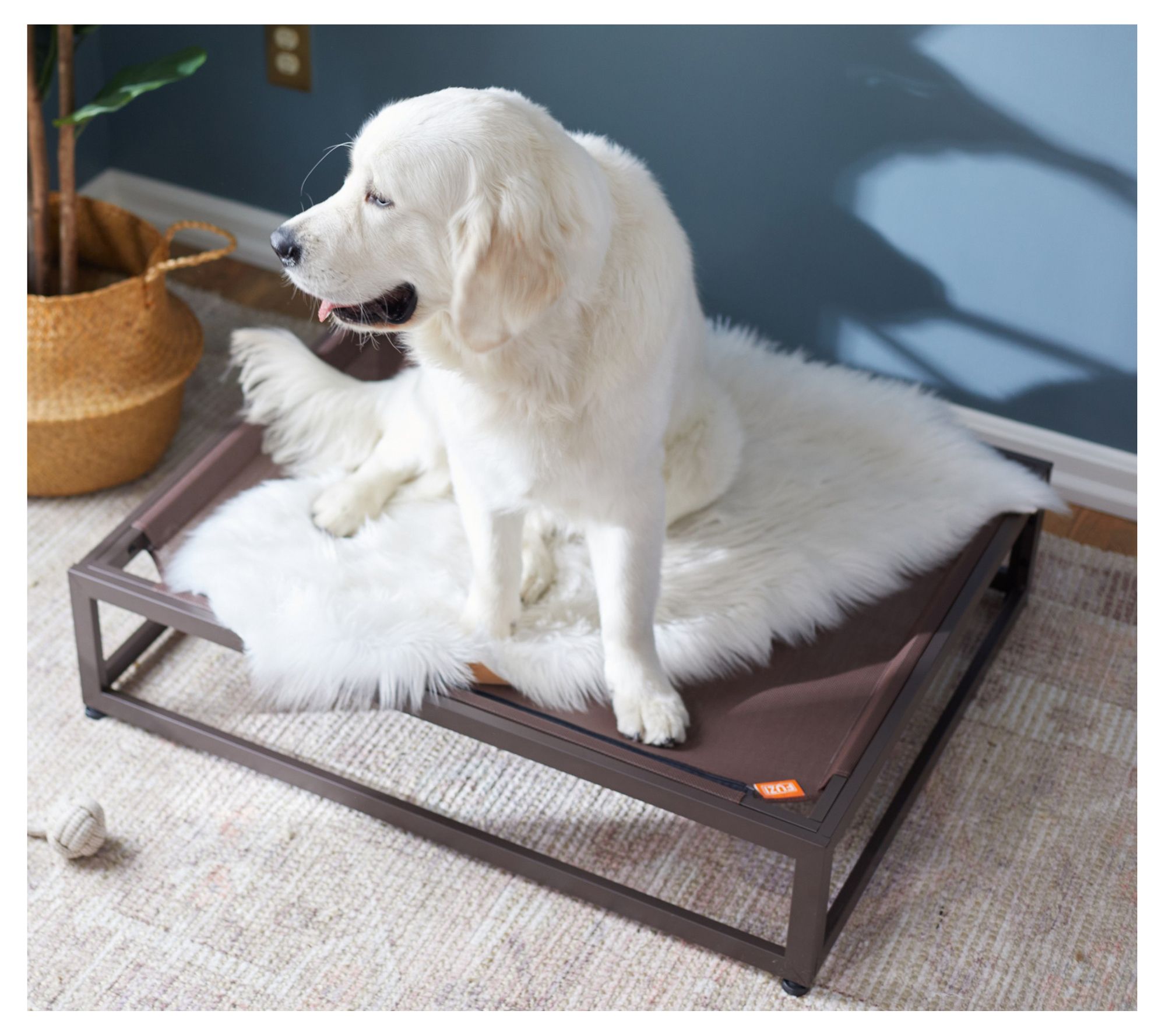 Fuzi Pets Up Pup Elevated Dog Bed - Large - QVC.com