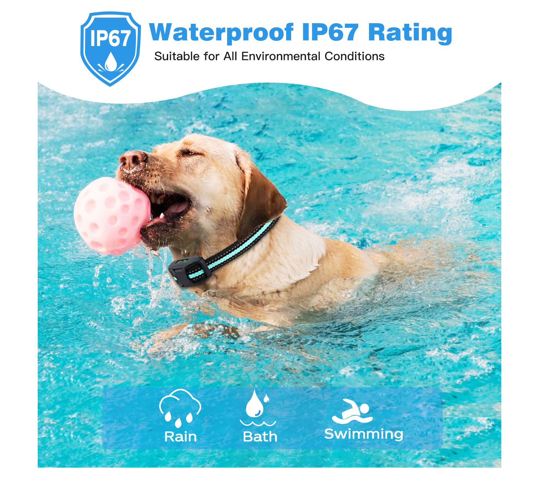 Pet Life Vibrange 1-to-2 Dog 450 Yard Range Training Collar - QVC.com