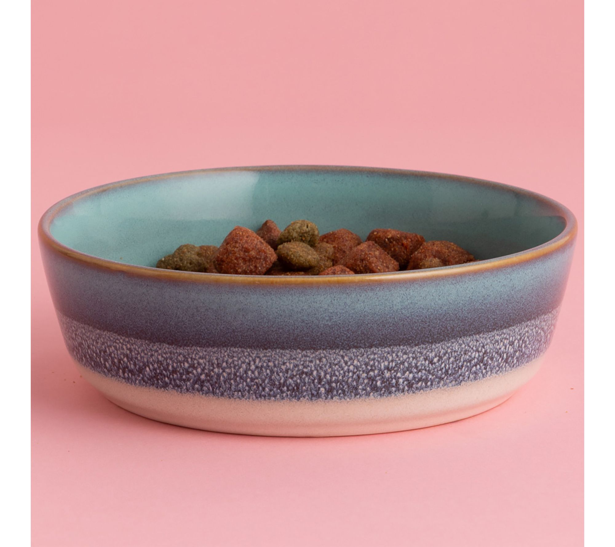 Mason Cash 18.6oz Reactive Fade 5.9in Pet Bowl - QVC.com