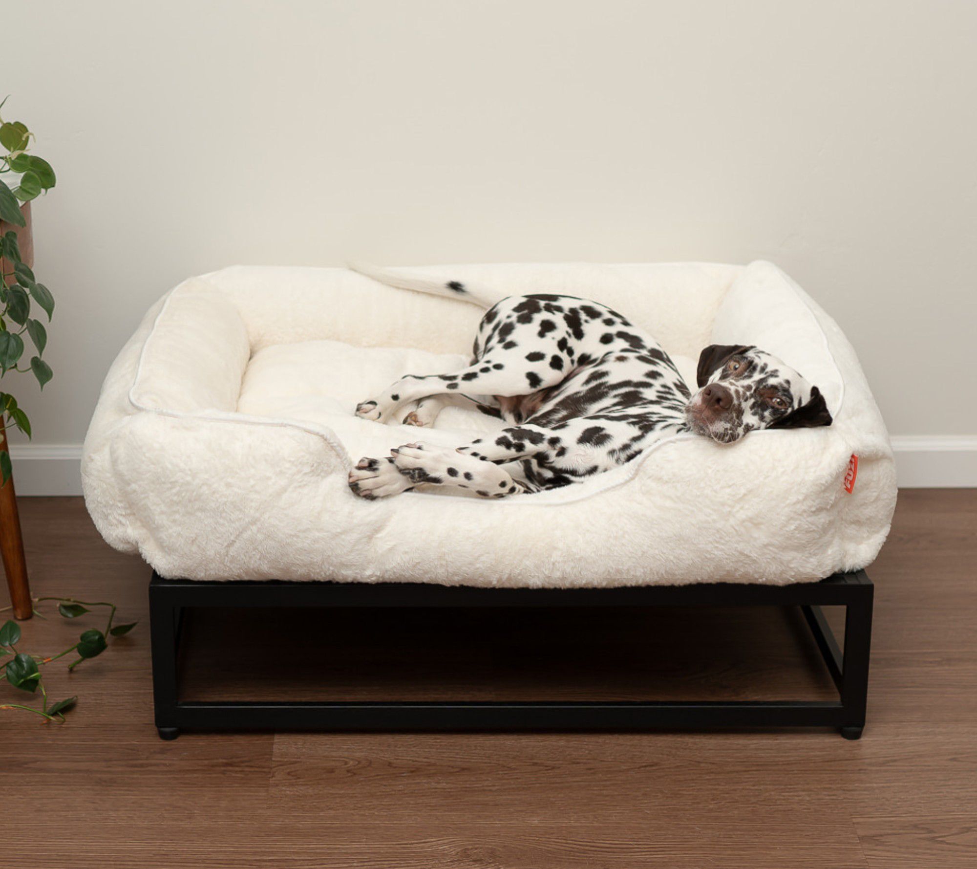 FUZI Pets Luxury Elevated Plus Dog Bed with Black Base - Large - QVC.com