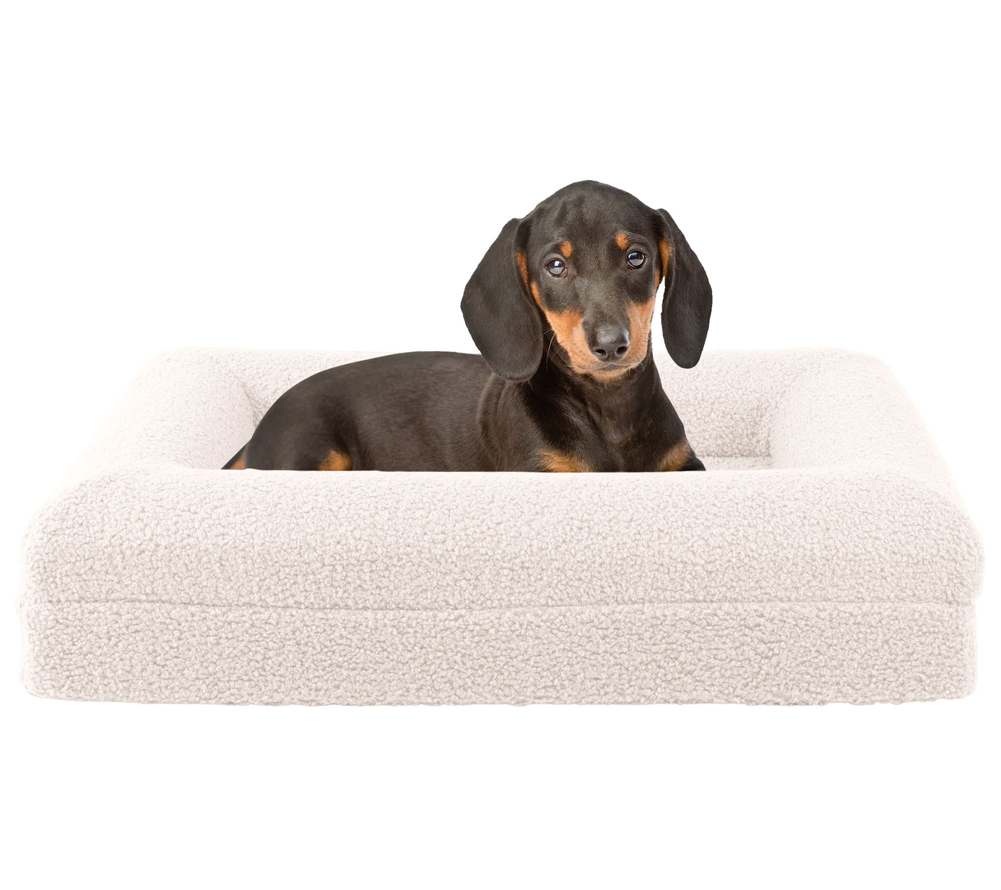 Petmaker Small Dog Bed with Removable WashableCover - QVC.com