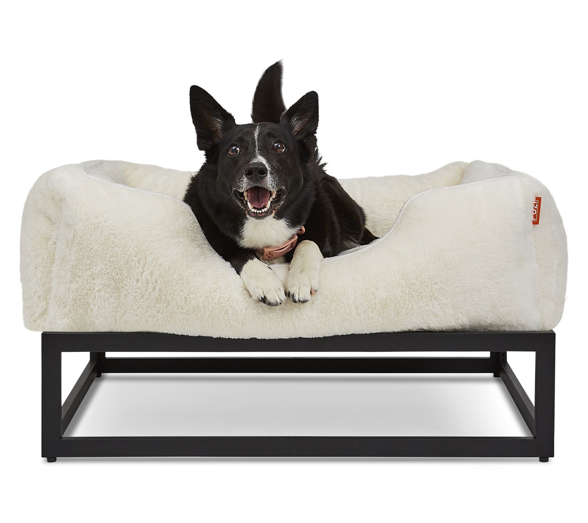 FUZI Pets Luxury Elevated Plus Dog Bed w/ BlackBase - Medium - QVC.com