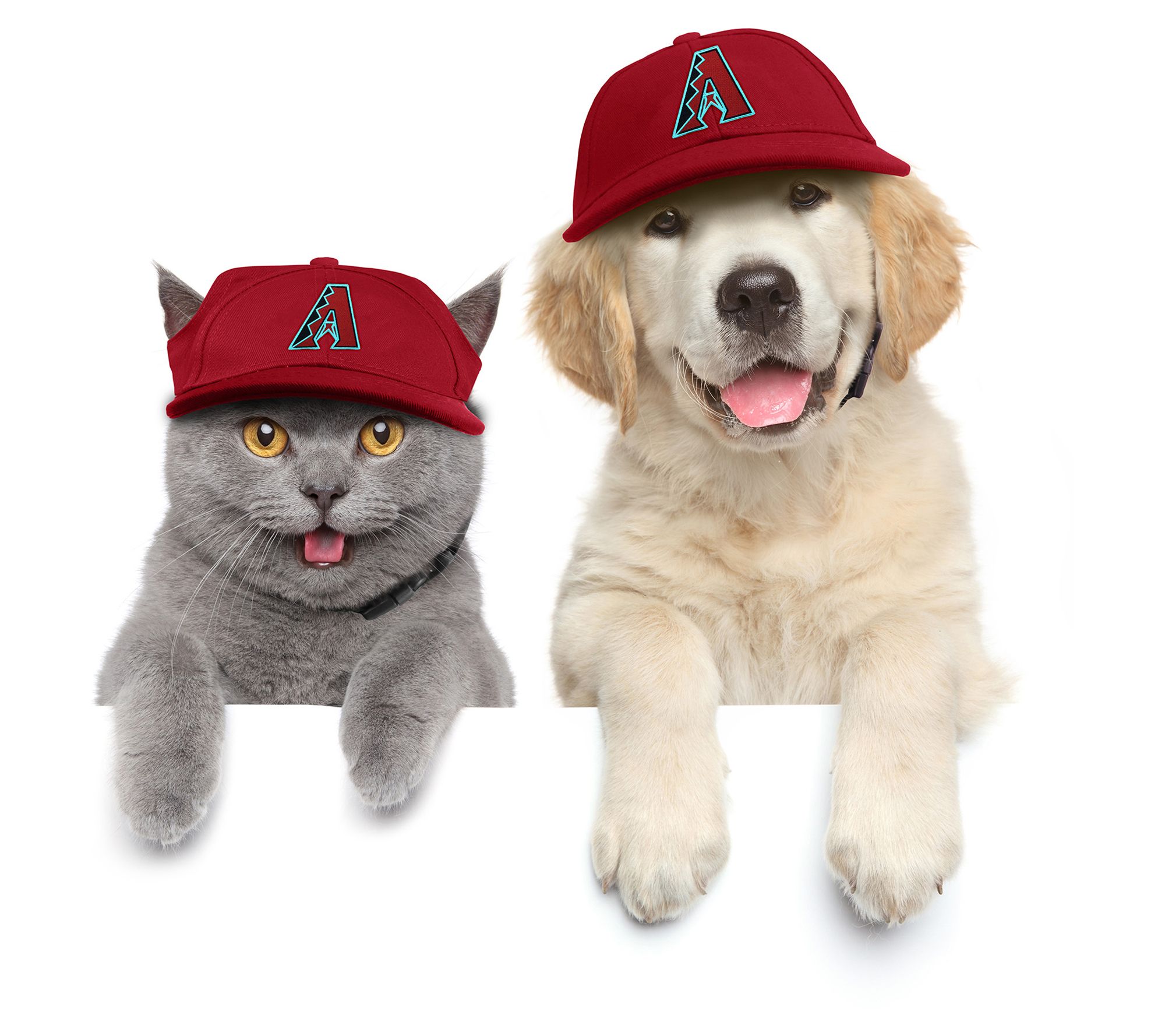 Littlearth MLB Pet Baseball Hat - QVC.com