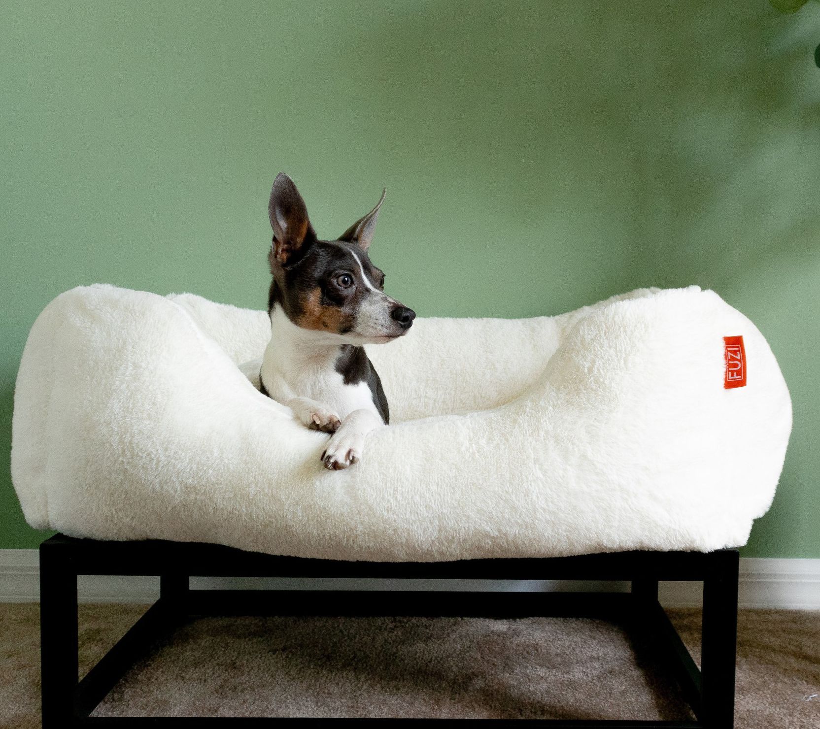 FUZI Pets Luxury Elevated Plus Dog Bed w/ BlackBase - Small - QVC.com