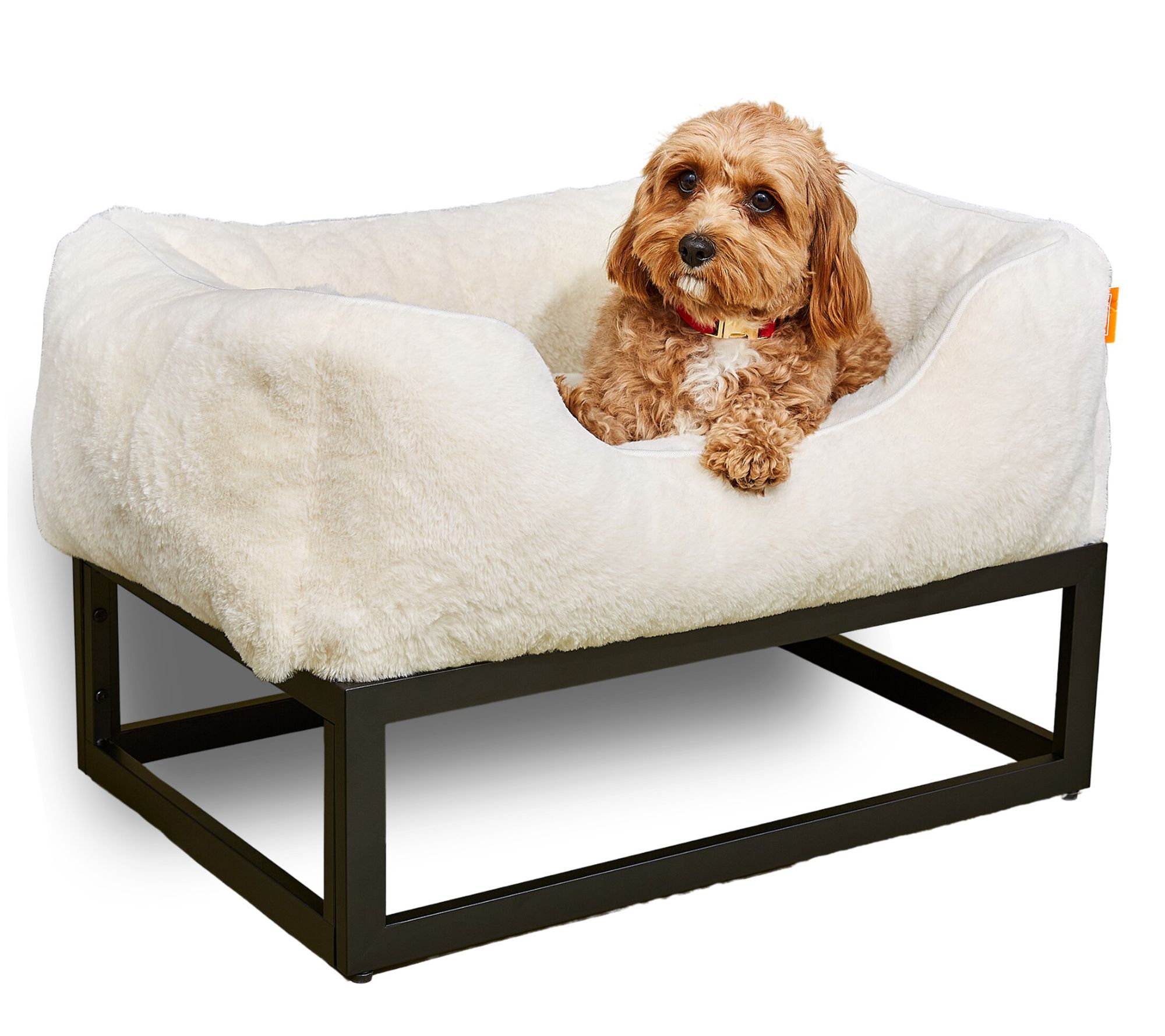FUZI Pets Luxury Elevated Plus Dog Bed w/ BlackBase - Small - QVC.com
