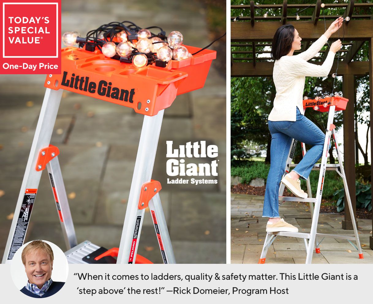 (QVC) Little Giant Hero Lightweight Step Ladder w/ Utility Box ...