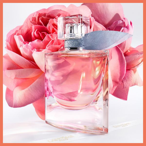 QVC | Shop QVC® For Today’s Special Value & Top Brands At The Official Site