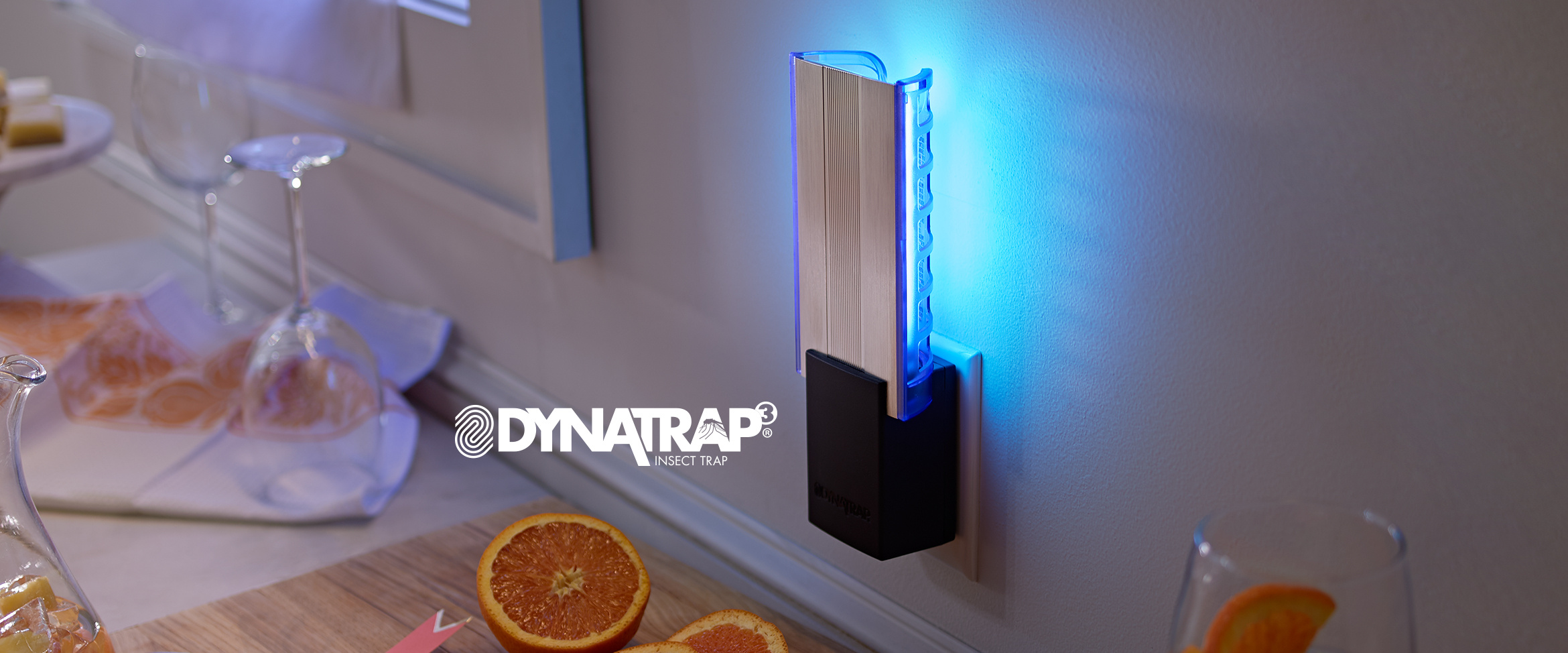 (QVC) DynaTrap S/2 Flylight Indoor Insect Traps w/ Extra Atrakta Bulbs ...