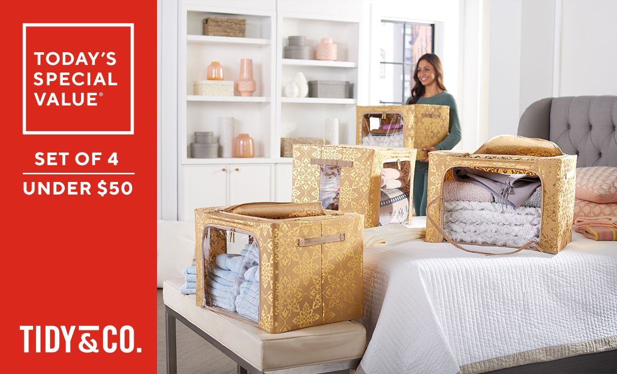 (QVC) Tidy & Co. Collapsible S/4 Medium or Large Storage Bins ...