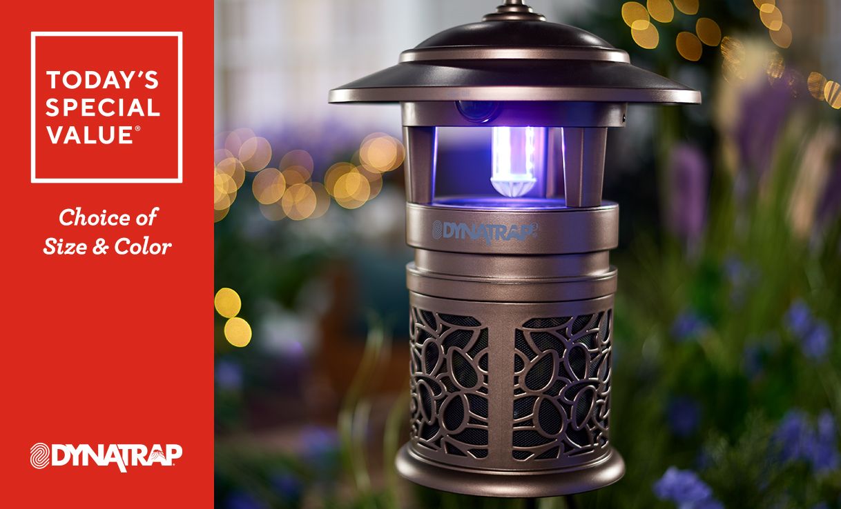 (QVC) DynaTrap XL Insect Trap with AtraktaGlo Extended Life UV LED ...