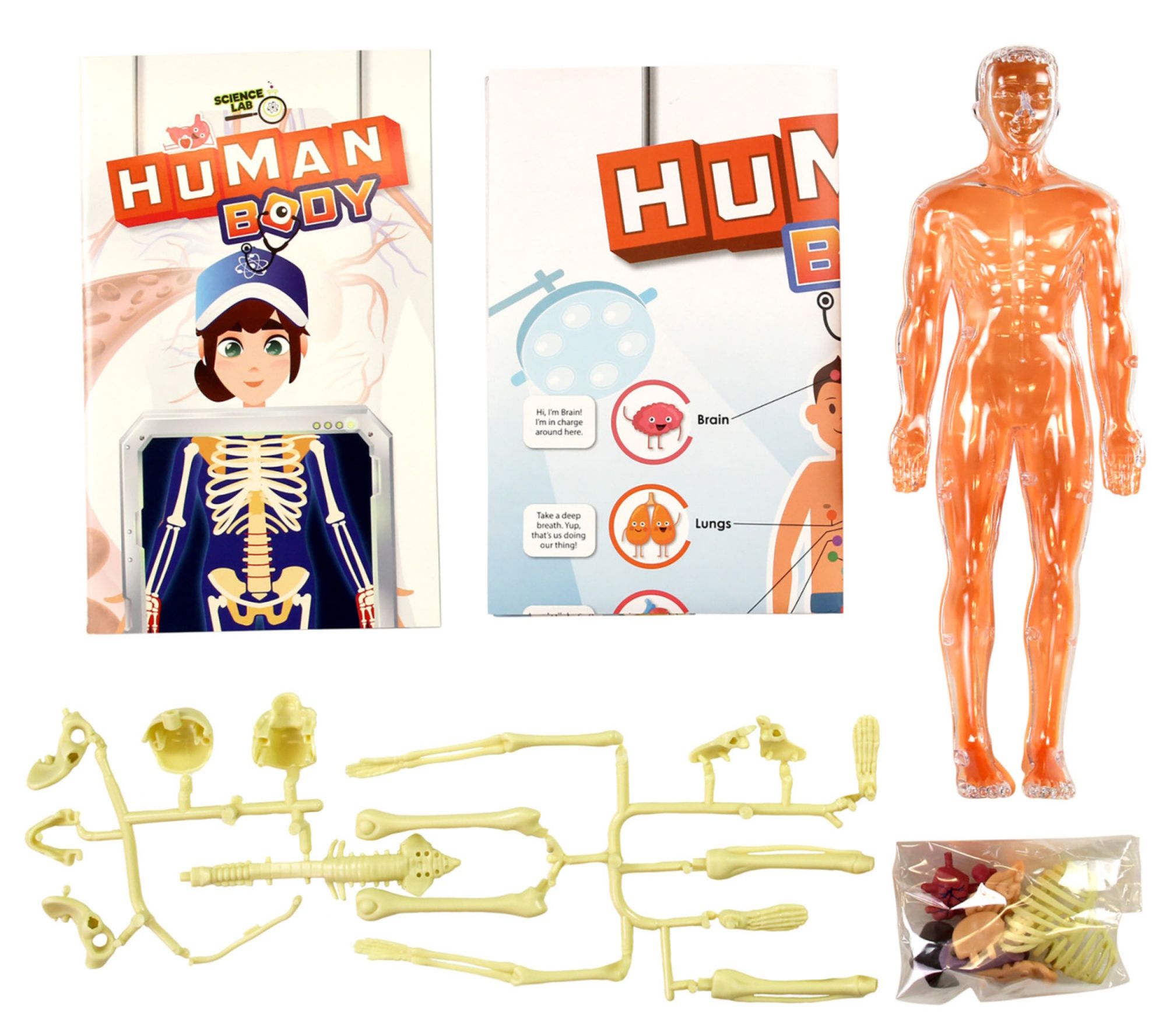 Science Lab Human Body Kit Stem Kit - QVC.com