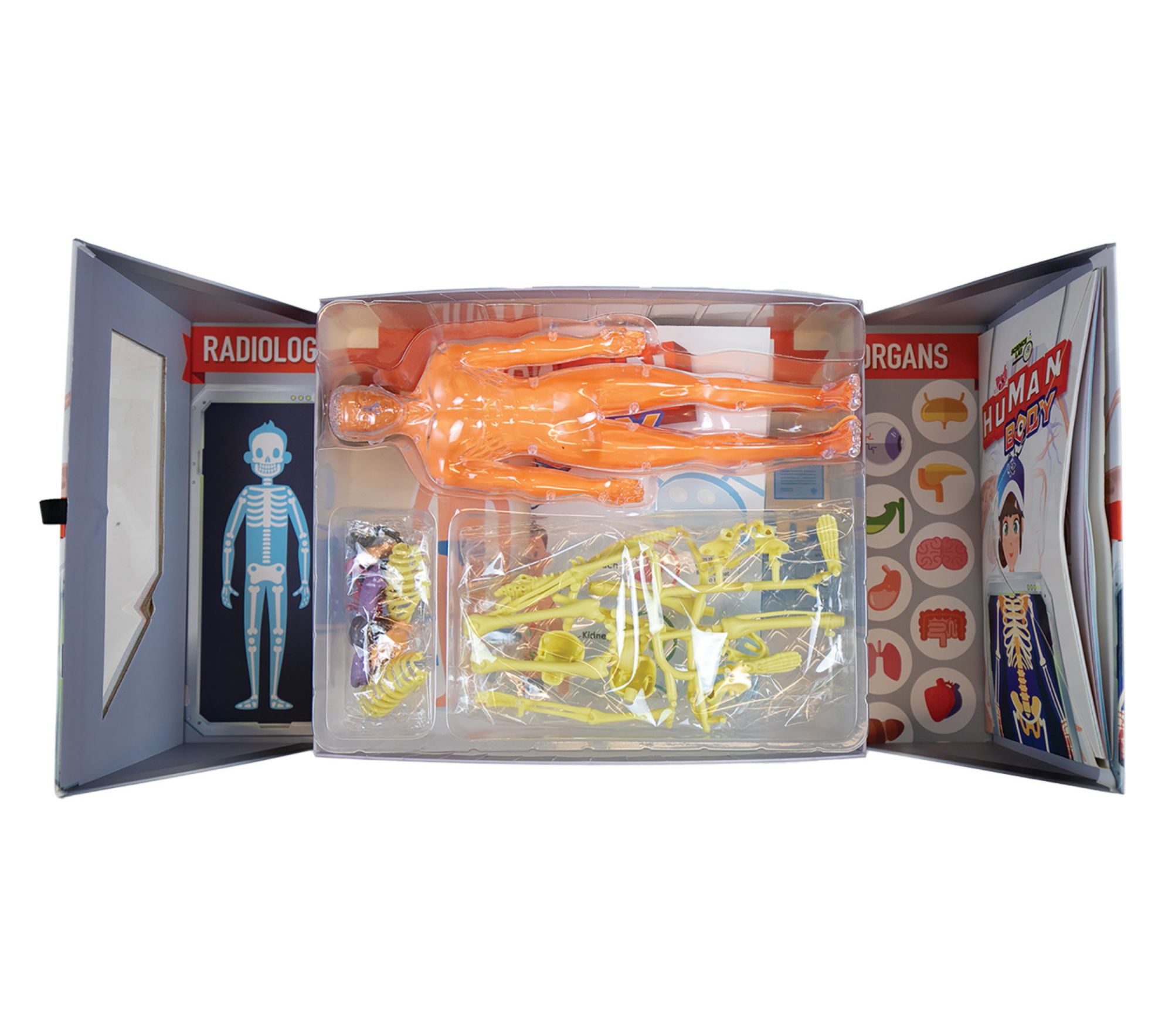 Science Lab Human Body Kit Stem Kit - QVC.com