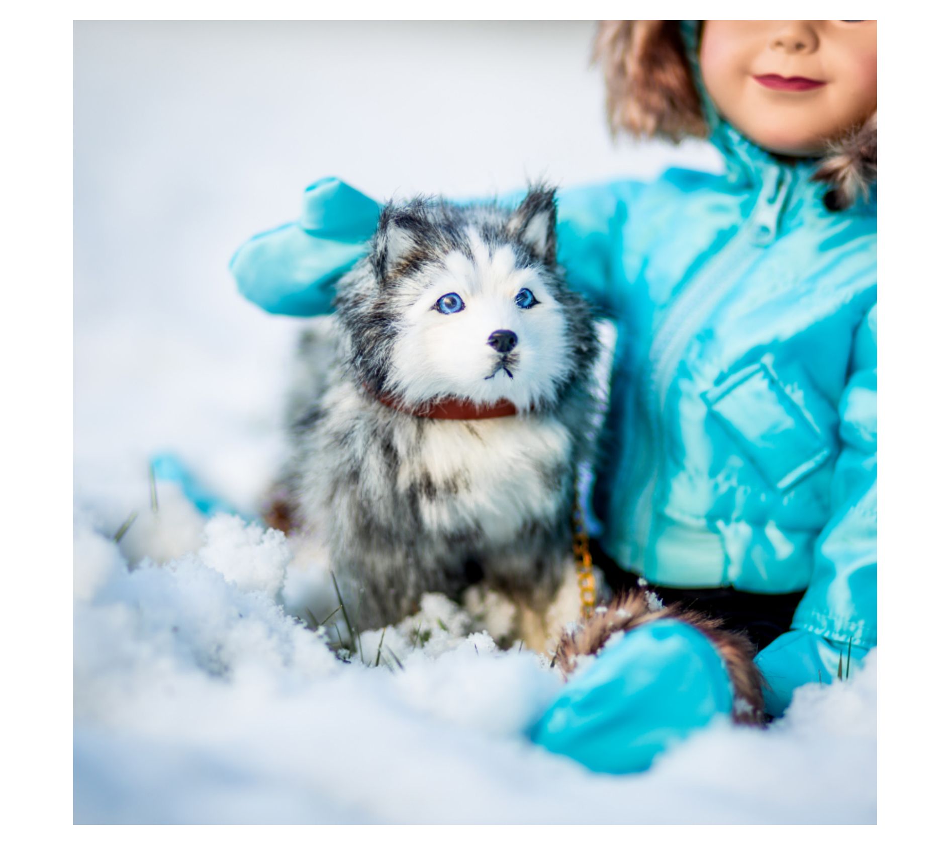 The Queen's Tre asures Ski Set and Husky Dog - 15pc - QVC.com