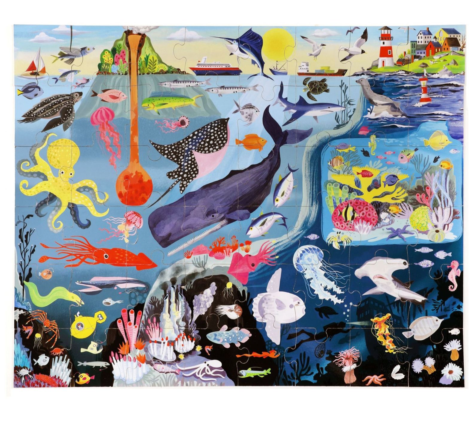 eeBoo Within the Sea Floor Puzzle - QVC.com