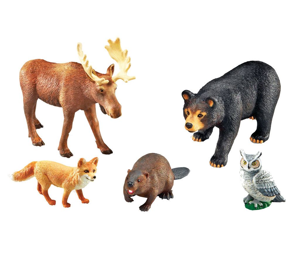 Jumbo Forest Animals by Learning Resources - QVC.com