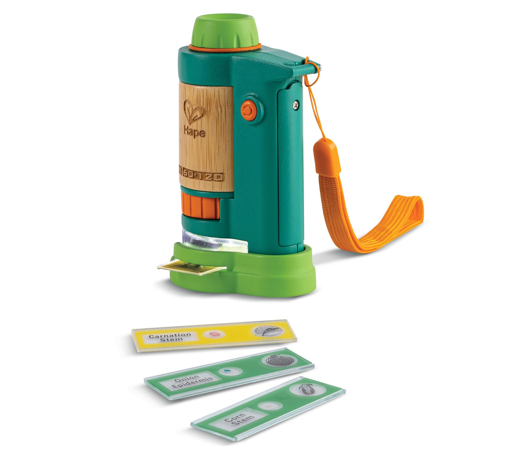 Hape Nature Fun Field Microscope Toy Set - QVC.com