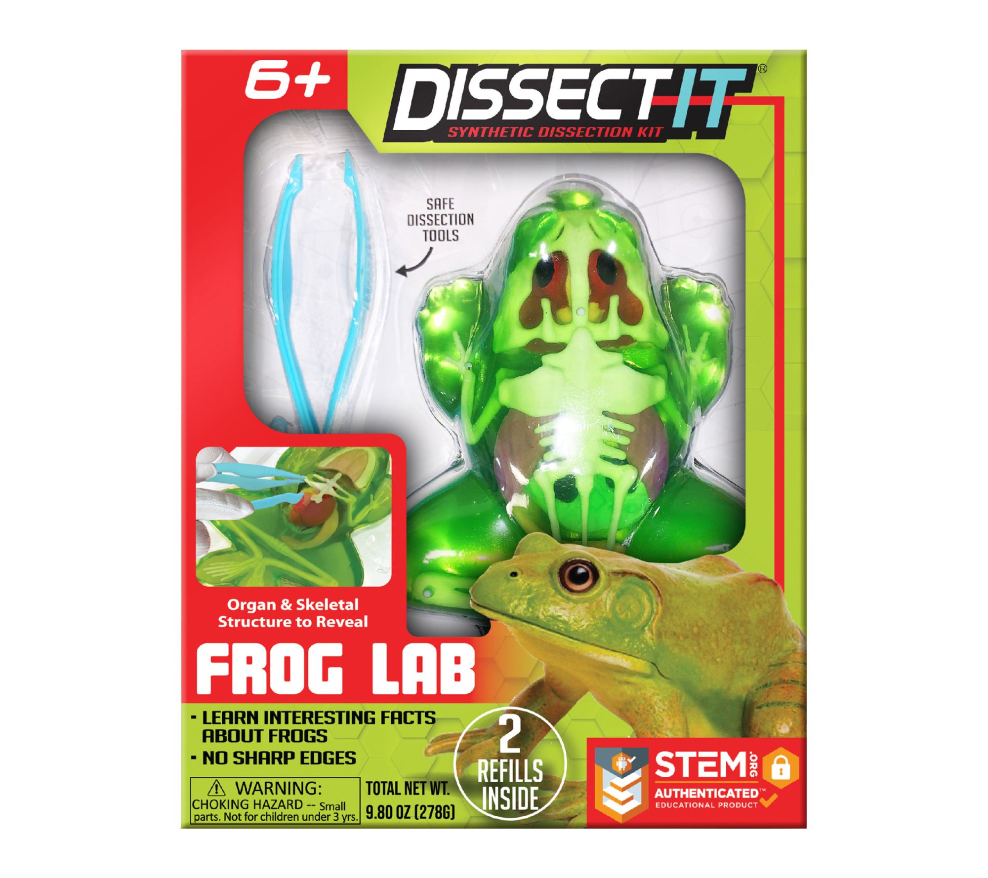 Dissect-It: Frog Lab - Synthetic Dissection Kit - QVC.com