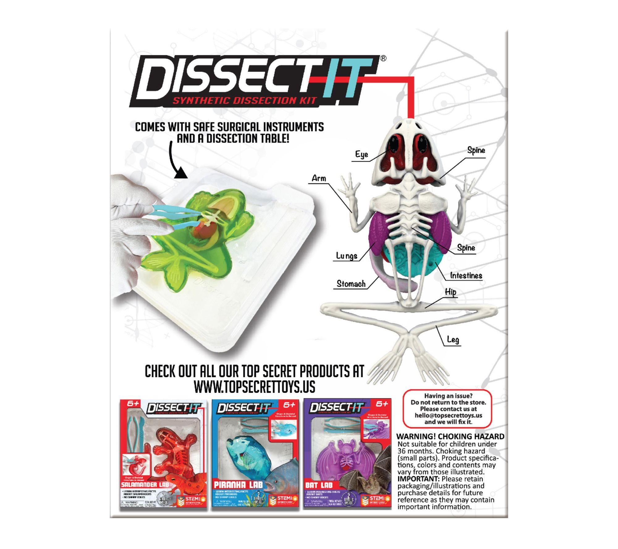 Dissect-It: Frog Lab - Synthetic Dissection Kit - QVC.com