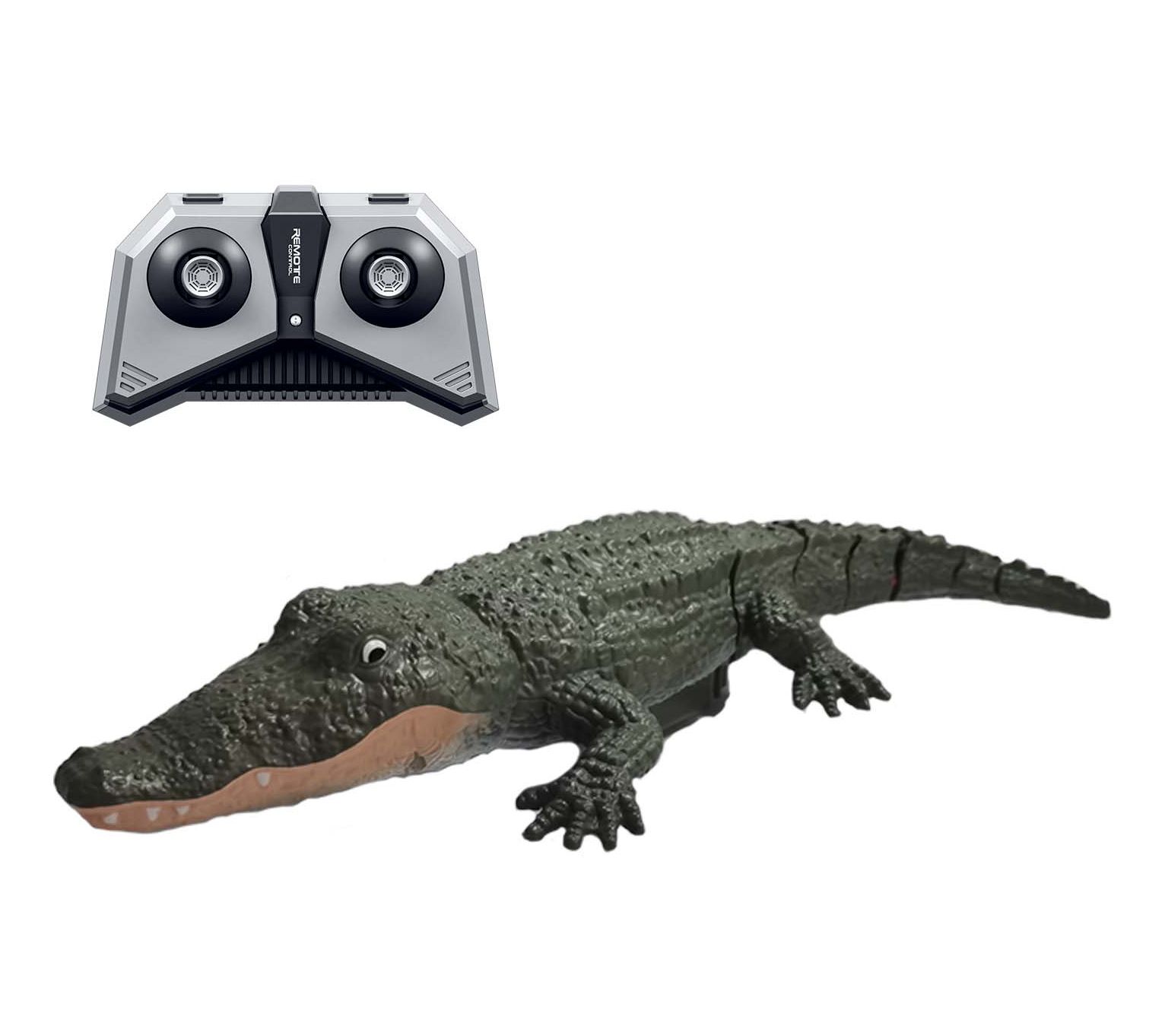 Jupiter Creations Robocroc Remote Control Crocodile - QVC.com